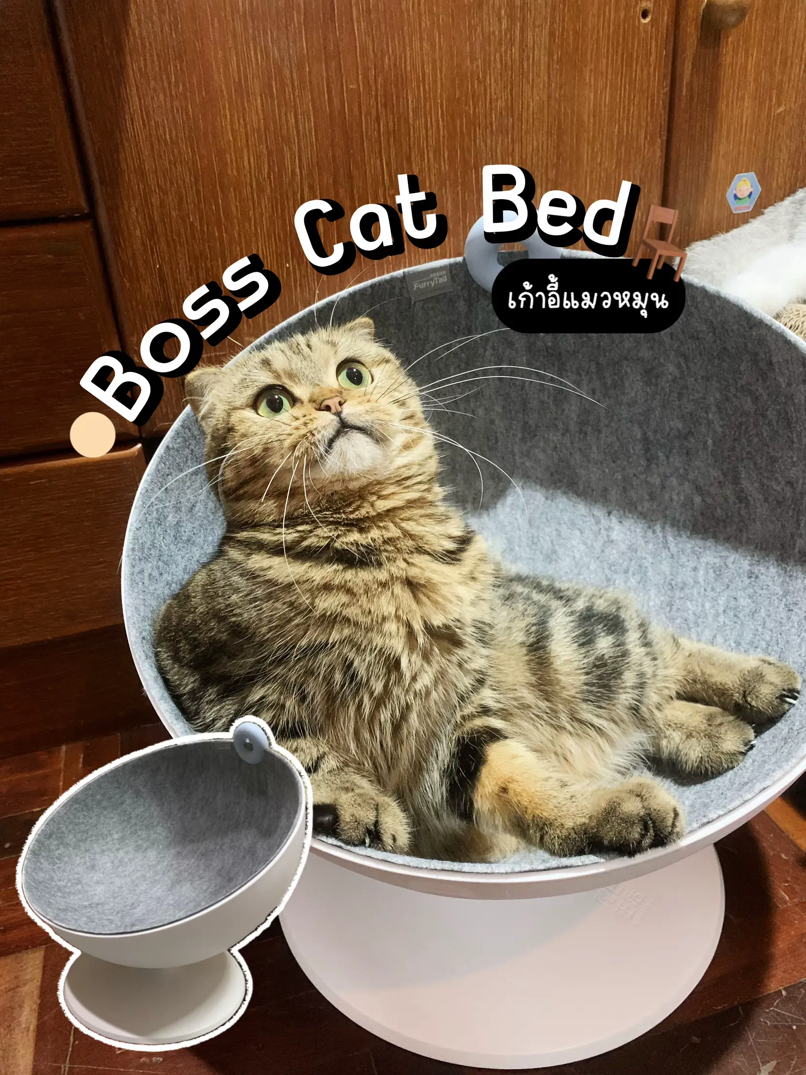 FURRYTAIL BOSS CAT BED 🛌 | แกลเลอรีที่โพสต์โดย เฟรม | Lemon8