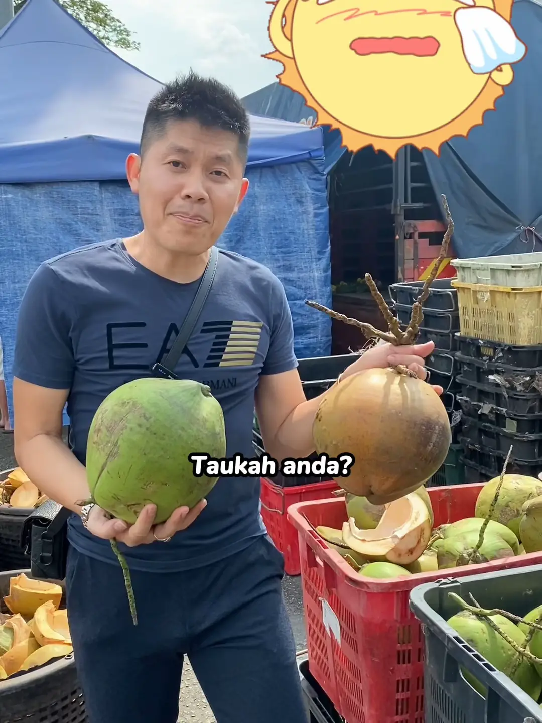 Cara pilih kelapa manis🍋 | Video diterbitkan oleh jason_jezi | Lemon8