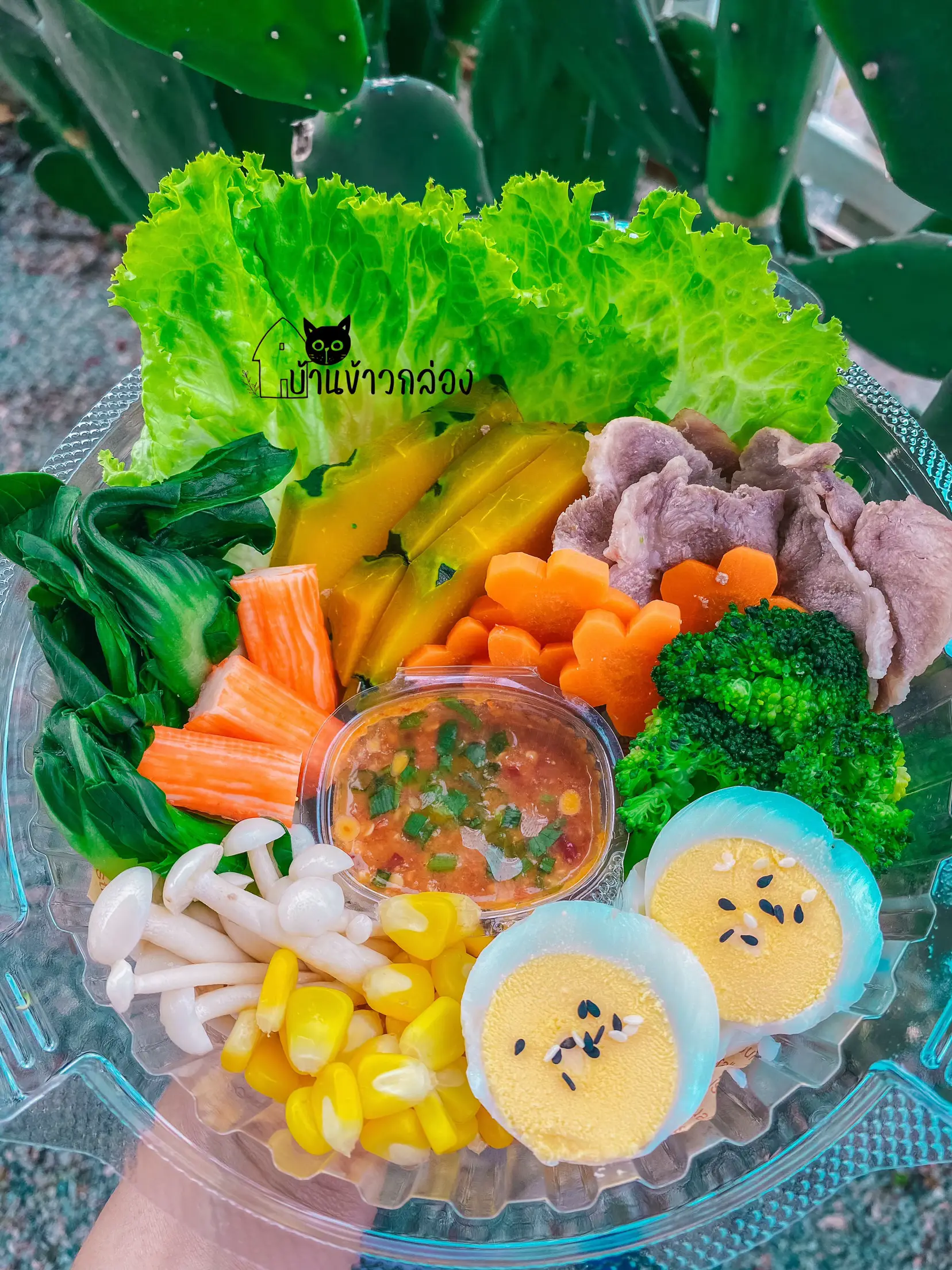 ชุดอาหารคลีน👩🏻‍🍳#ร้านบ้านข้าวกล่อง | แกลเลอรีที่โพสต์โดย ♡ 🐳𝔼𝕚𝕨 🐳 ♡ | Lemon8