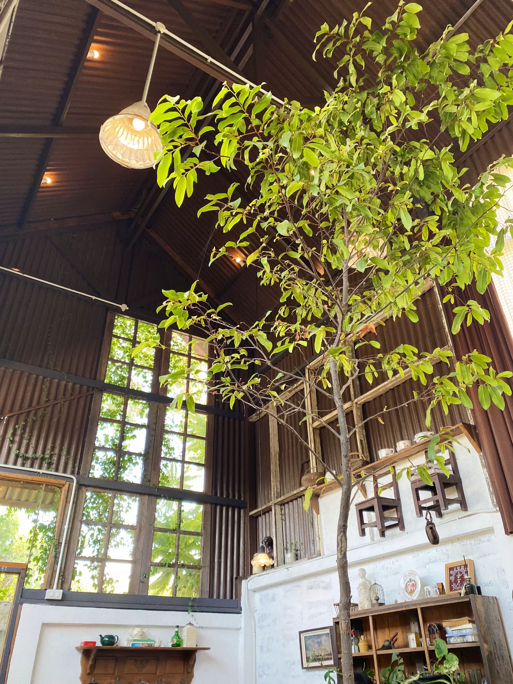 คาเฟ่ไอศครีมโฮมเมดย่านศรีราชา-บางพระ 👩🏻‍🍳🍦 | แกลเลอรีที่โพสต์โดย wwara🍳😋 | Lemon8