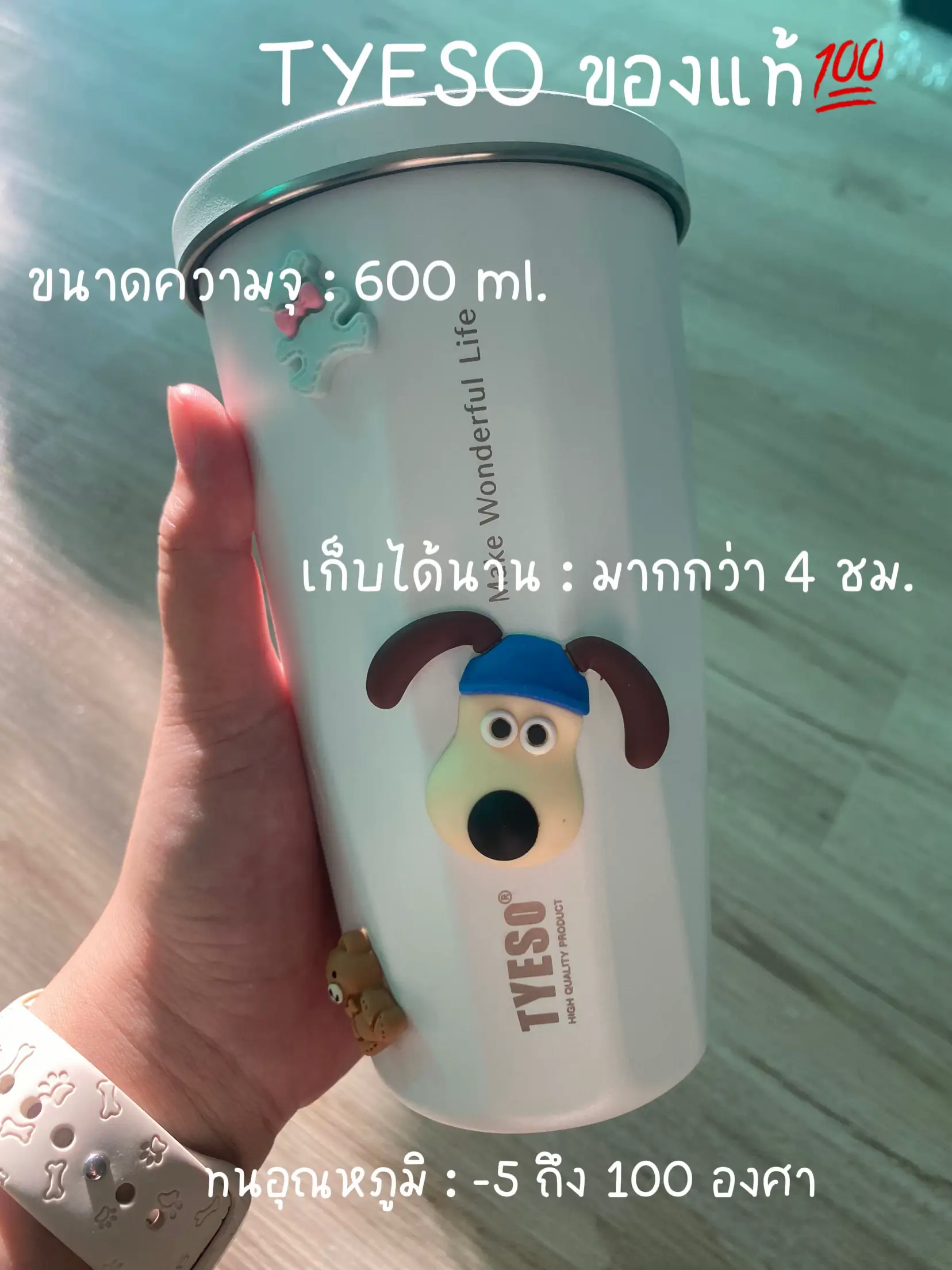 แก้วเก็บความเย็น🥶🧊 TYESO💯 กับหลอดเด้งดึ๋งๆ | แกลเลอรีที่โพสต์โดย 🦖ꕀᴍ.ᴍɪɴᴅ₊˚ˑ 🐾 | Lemon8