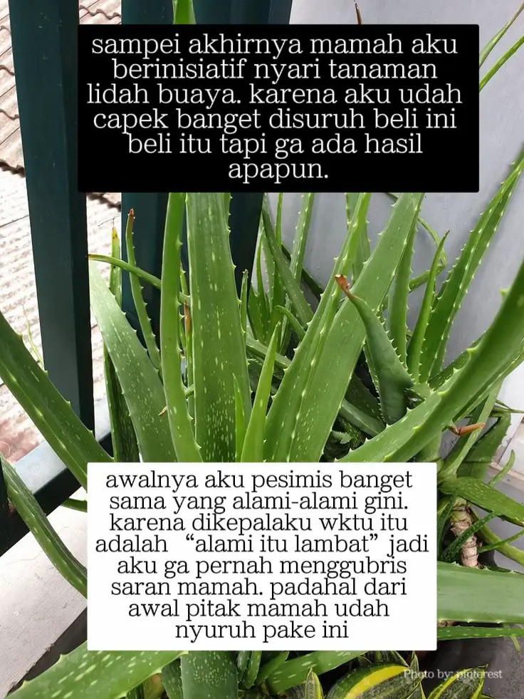 RAMBUT MEMBOTAK KARENA RONTOK? INI SOLUSINYA! | Galeri diposting oleh fey | Lemon8