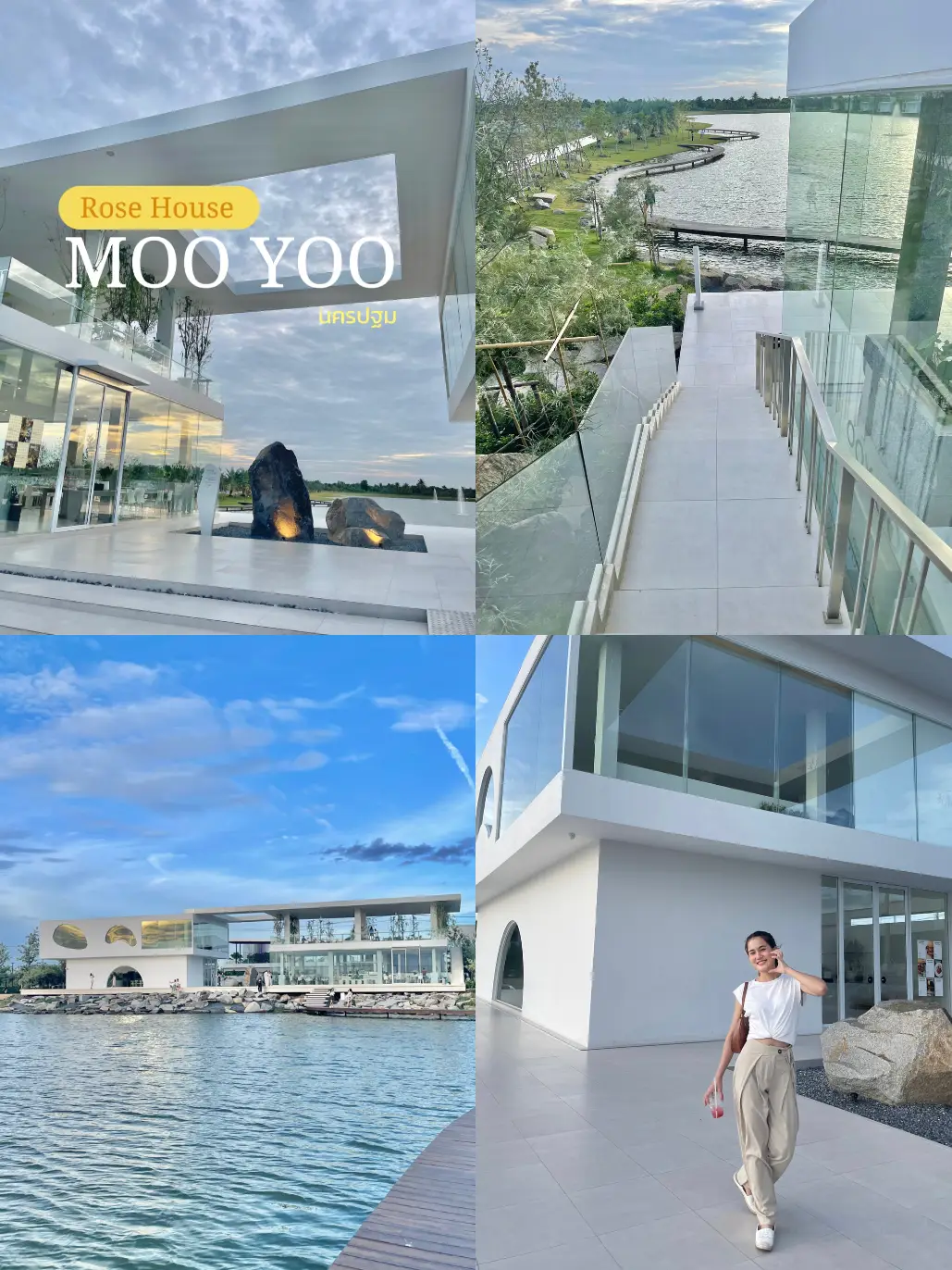 Moo Yoo Rose House คาเฟ่นครปฐม | แกลเลอรีที่โพสต์โดย เซอยัง เอสพี | Lemon8