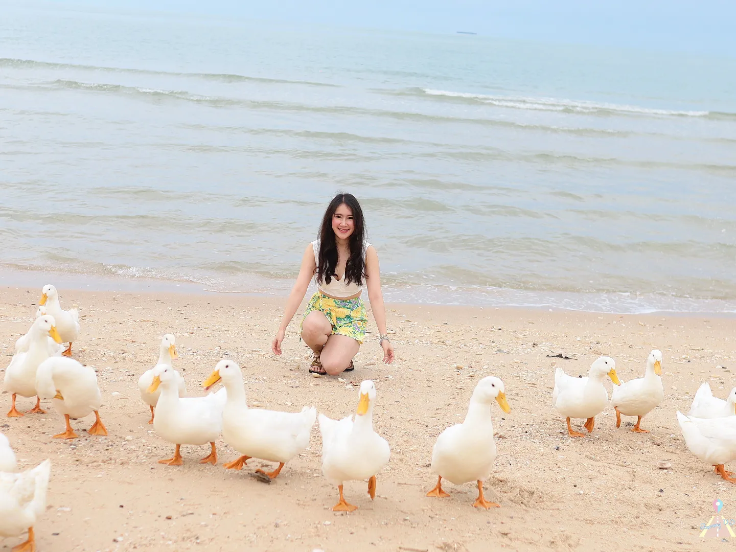 💦🌊คาเฟ่ริมทะเล กะน้องเป็ดสุดน่ารัก🦢🪿ชะอำ | แกลเลอรีที่โพสต์โดย Journey DD | Lemon8