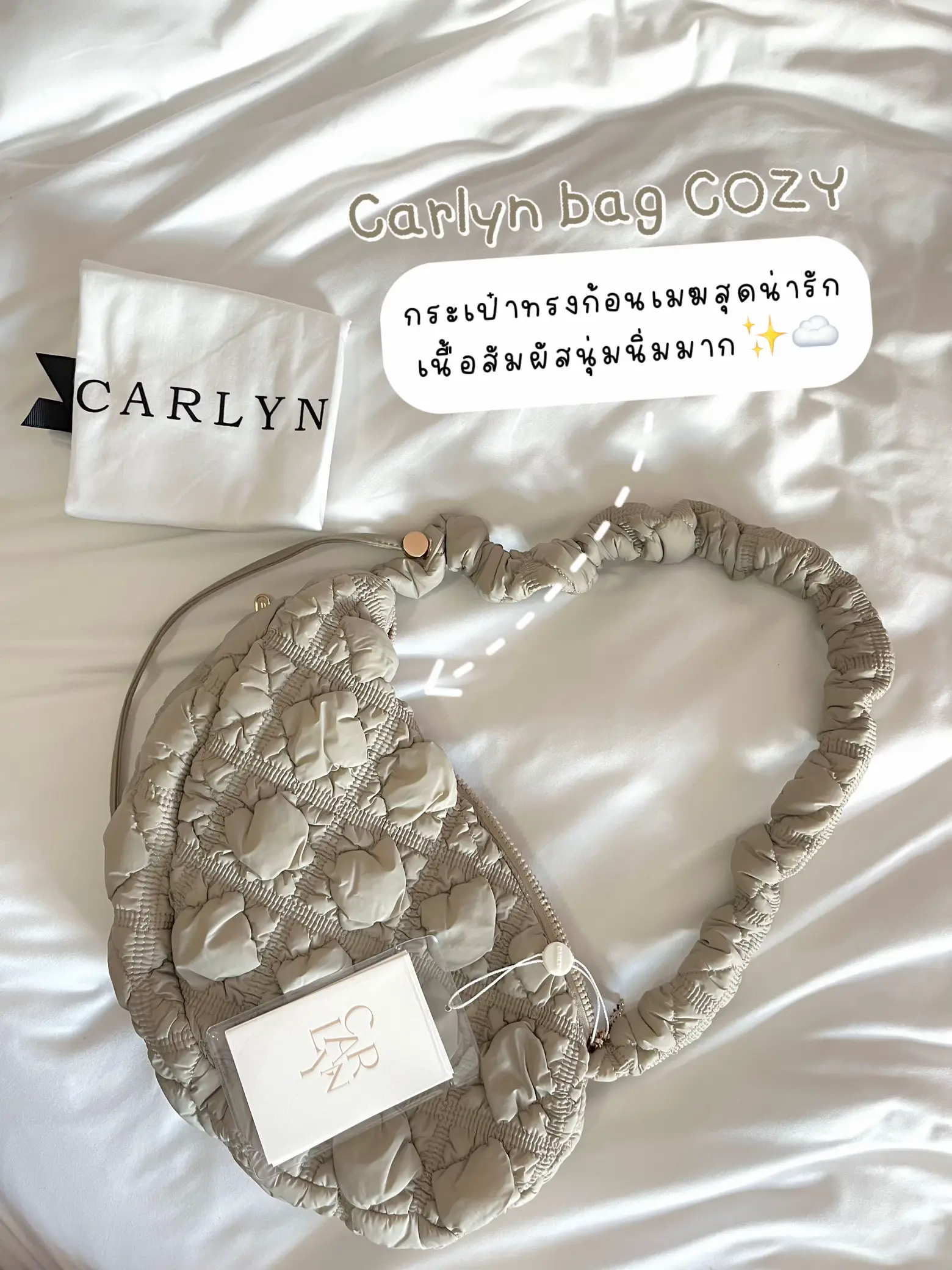 20 ไอเดียยอดนิยมเกี่ยวกับ กระเป๋าcarlynของปลอม ในปี 2024