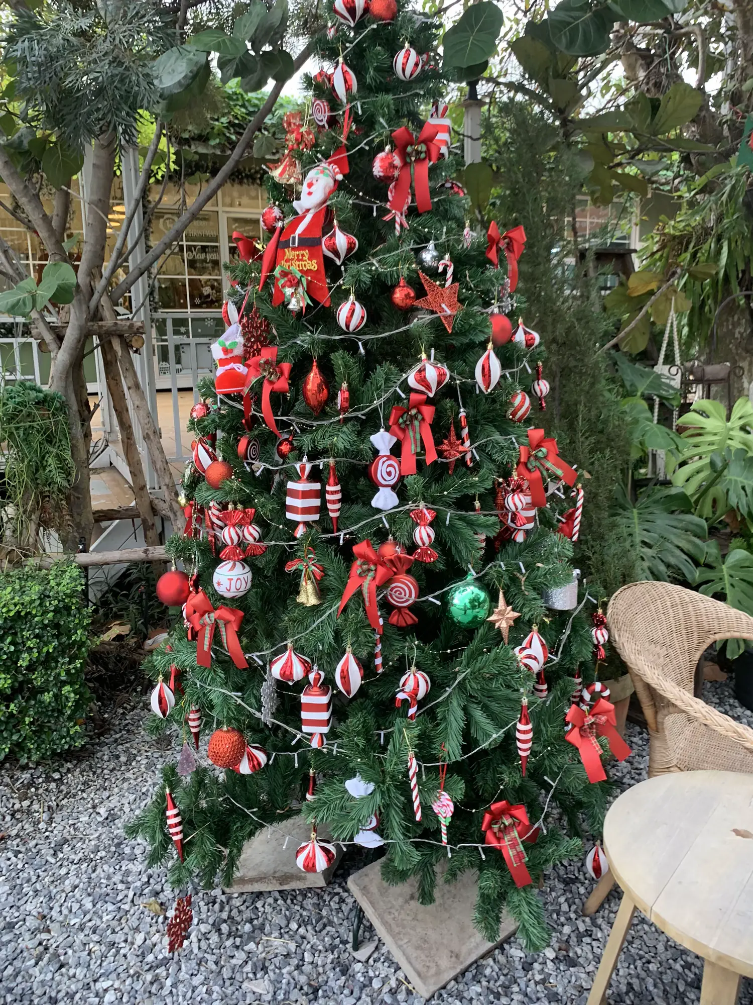 คาเฟ่คริสมาส สมุทรปราการ โฮมมี่ lanta coffee camp | แกลเลอรีที่โพสต์โดย ...