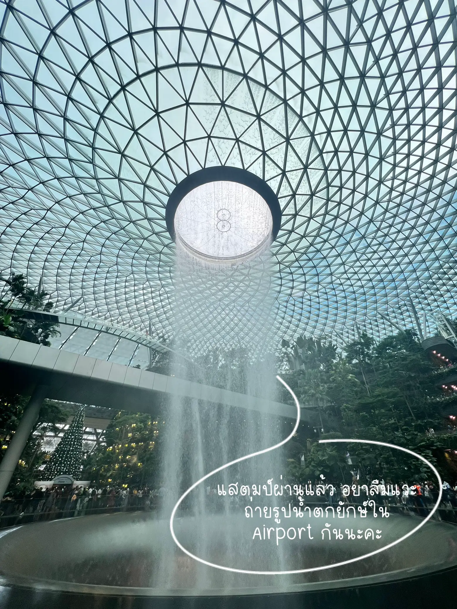 ตม.สิงคโปร์ | แกลเลอรีที่โพสต์โดย Mr.J | Lemon8