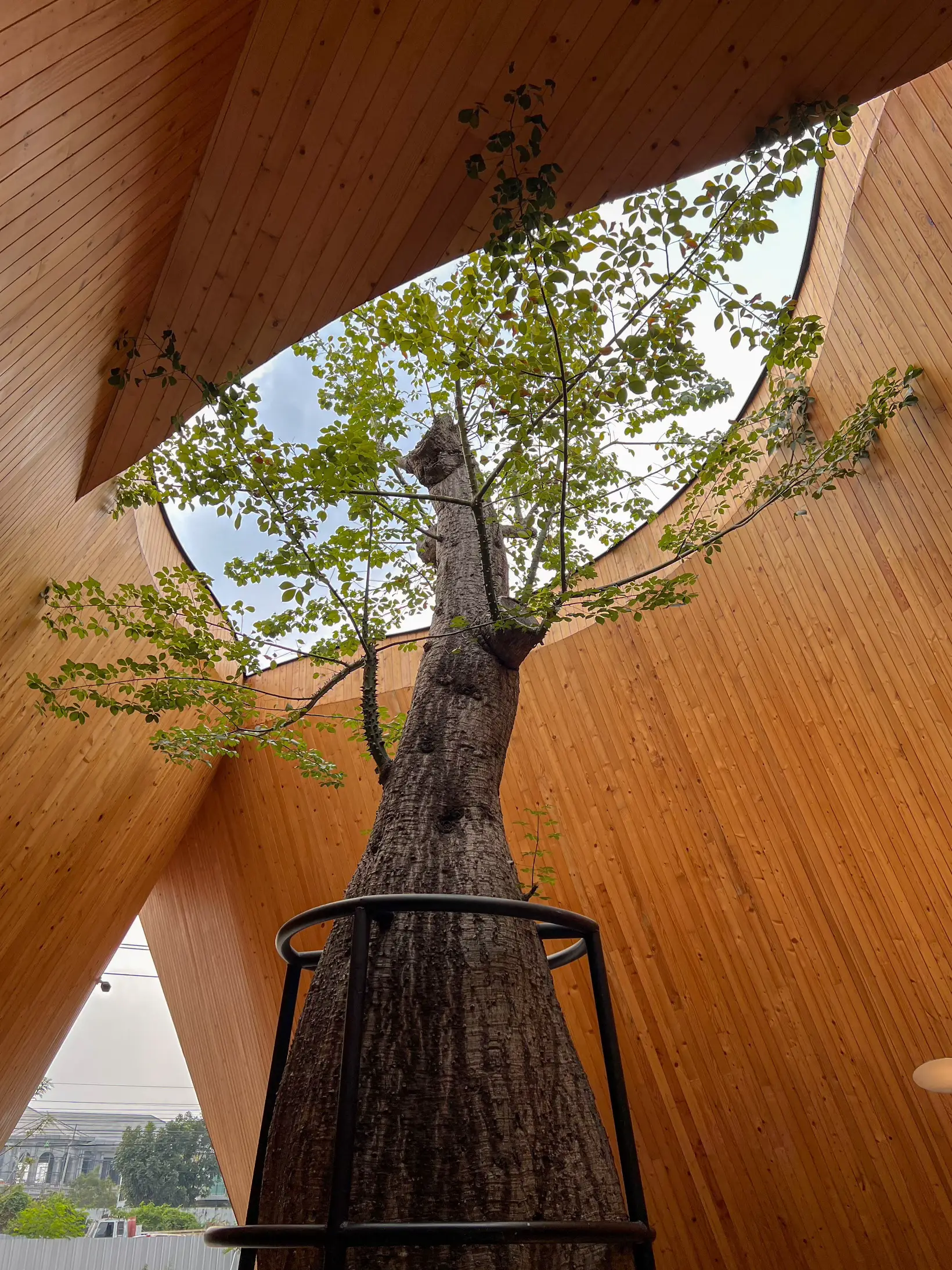 𓏲🌳ร้านกาแฟที่อลังที่สุดในชลบุรี ร้านสวยแบบตะโกน!☕️🧈𓈒 | แกลเลอรีที่โพสต์โดย Jabchaith | Lemon8