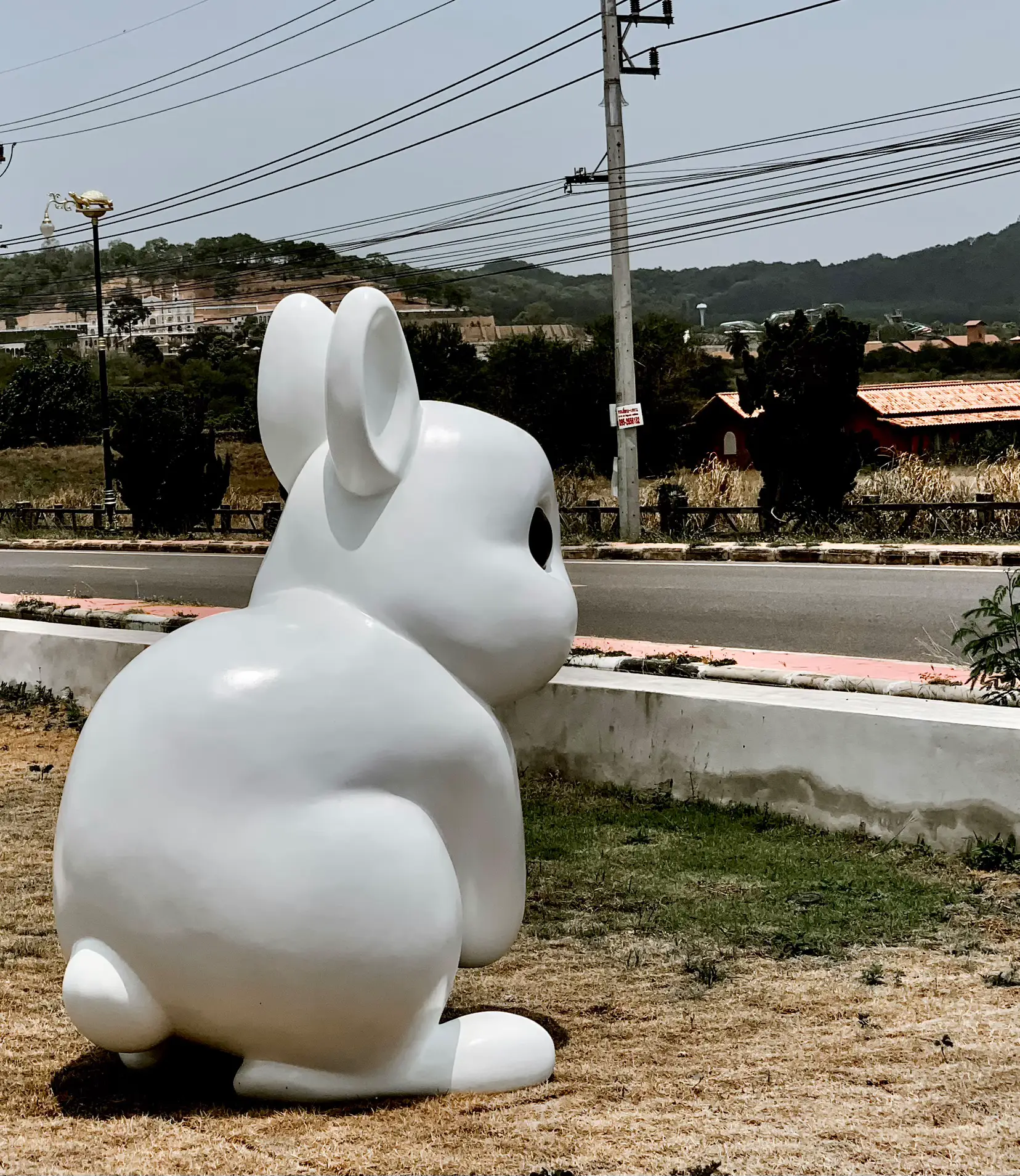 คาเฟ่เปิดใหม่พัทยา RABBiT 🐰 | แกลเลอรีที่โพสต์โดย คุนนุ้ย🤎 | Lemon8