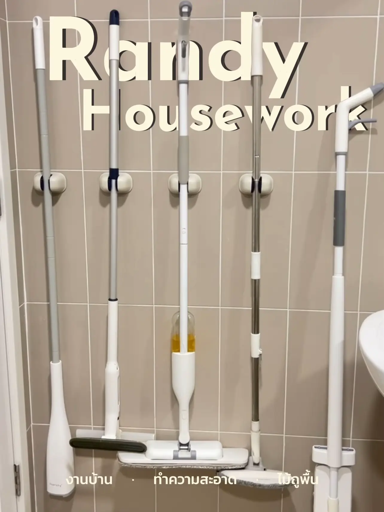 Randy | แกลเลอรีที่โพสต์โดย Sajuard'Home | Lemon8