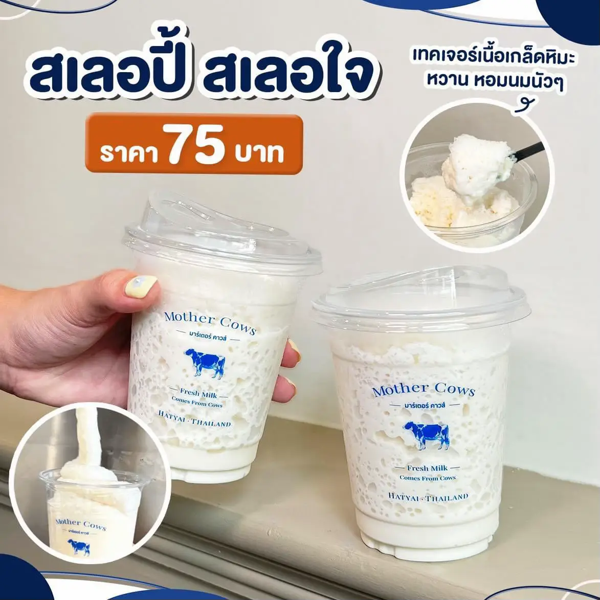 🐄 Mother Cow บุกบรรทัดทองแล้วว | แกลเลอรีที่โพสต์โดย ติดโปร | Lemon8