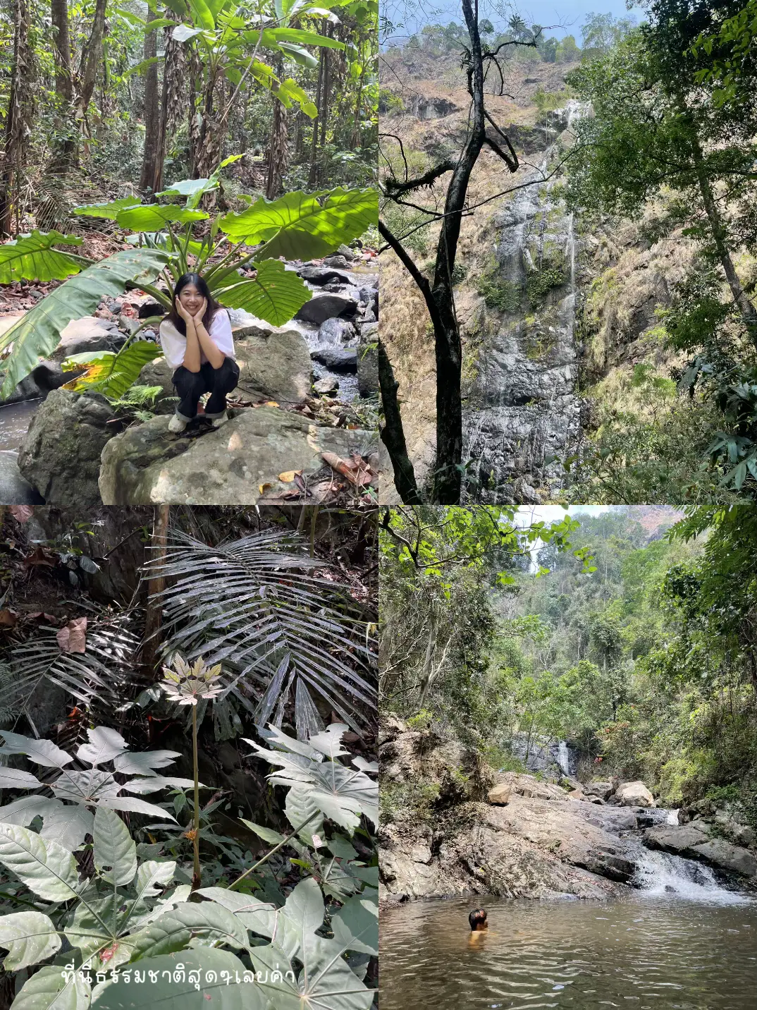 TAT MOK Waterfall : น้ำตกตาดหมอกที่ไม่ได้แพลน 💦 | แกลเลอรีที่โพสต์โดย ...