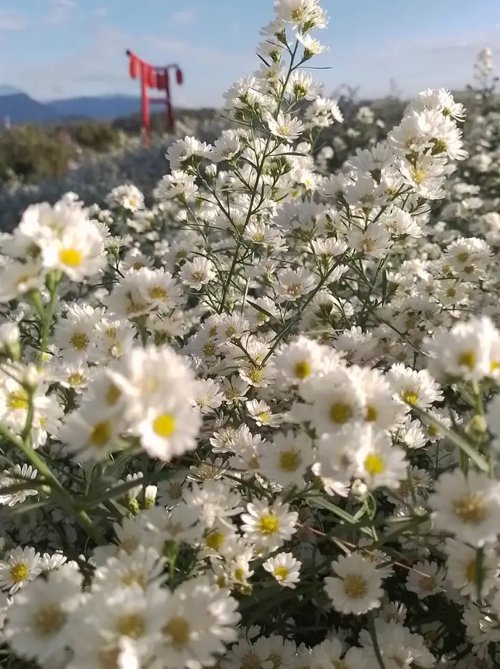 Enjoy the weekend | แกลเลอรีที่โพสต์โดย ASTER KAFE’ | Lemon8