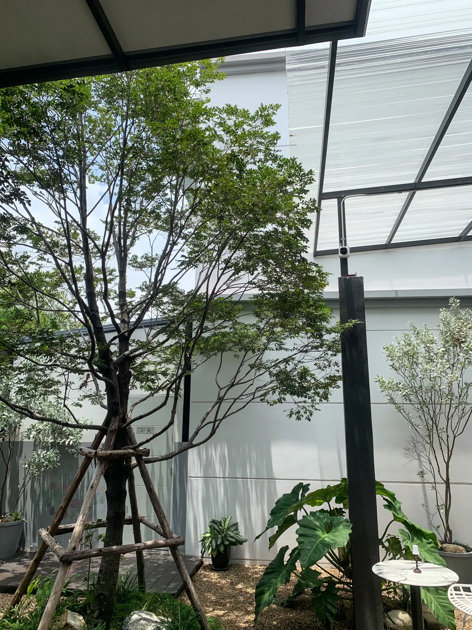 PYGG CAFE | แกลเลอรีที่โพสต์โดย K A E | Lemon8