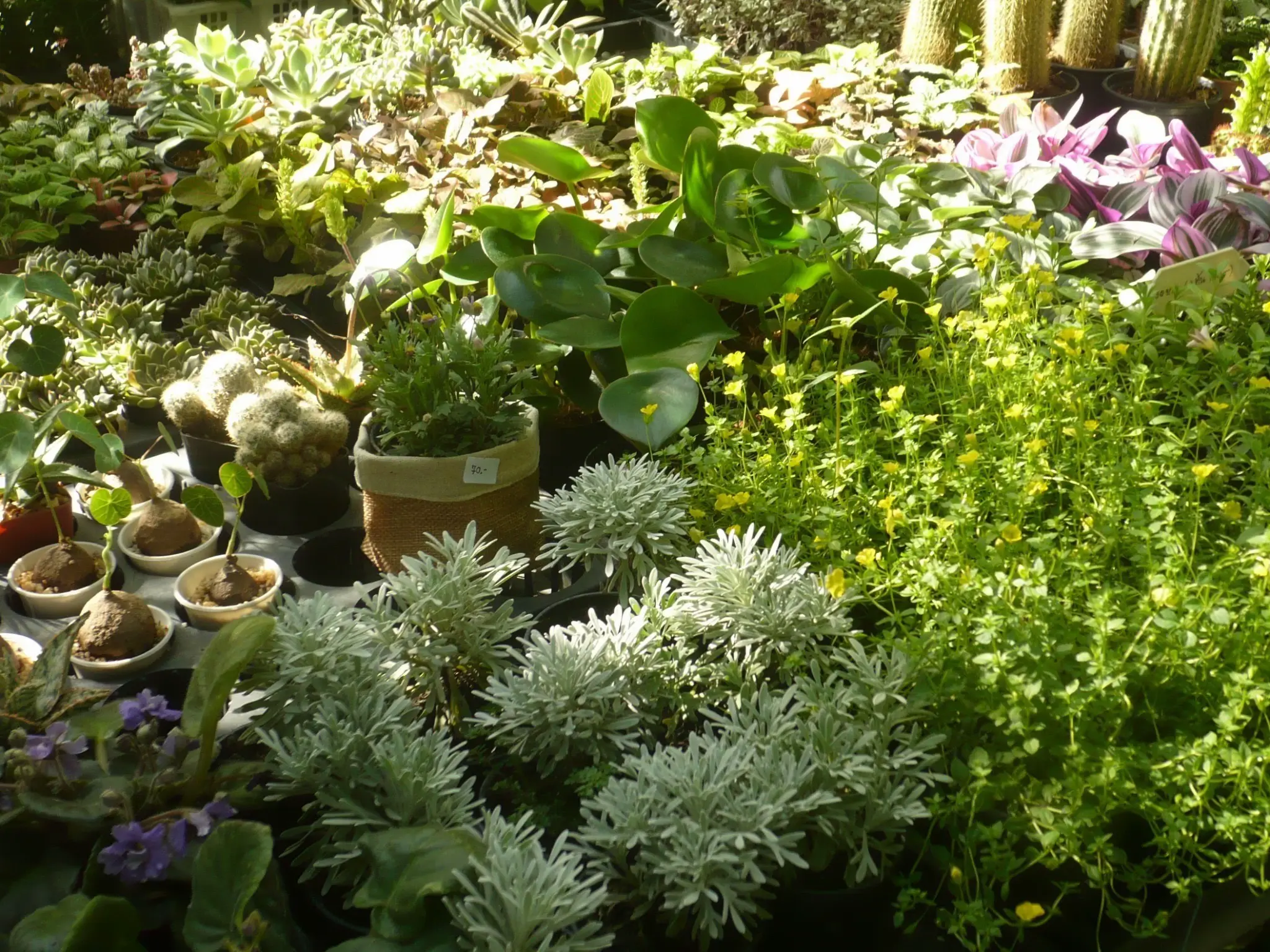 Review old digicam : LUMIX Leica DC lens | แกลเลอรีที่โพสต์โดย mantra ...