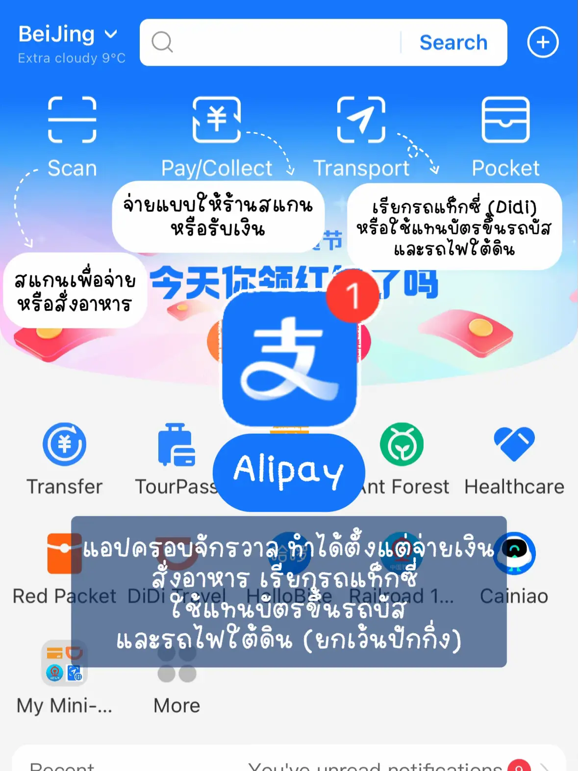 วิธีการใช้ Alipay | 2025 ประสบการณ์ผู้ใช้จริงบน Lemon8