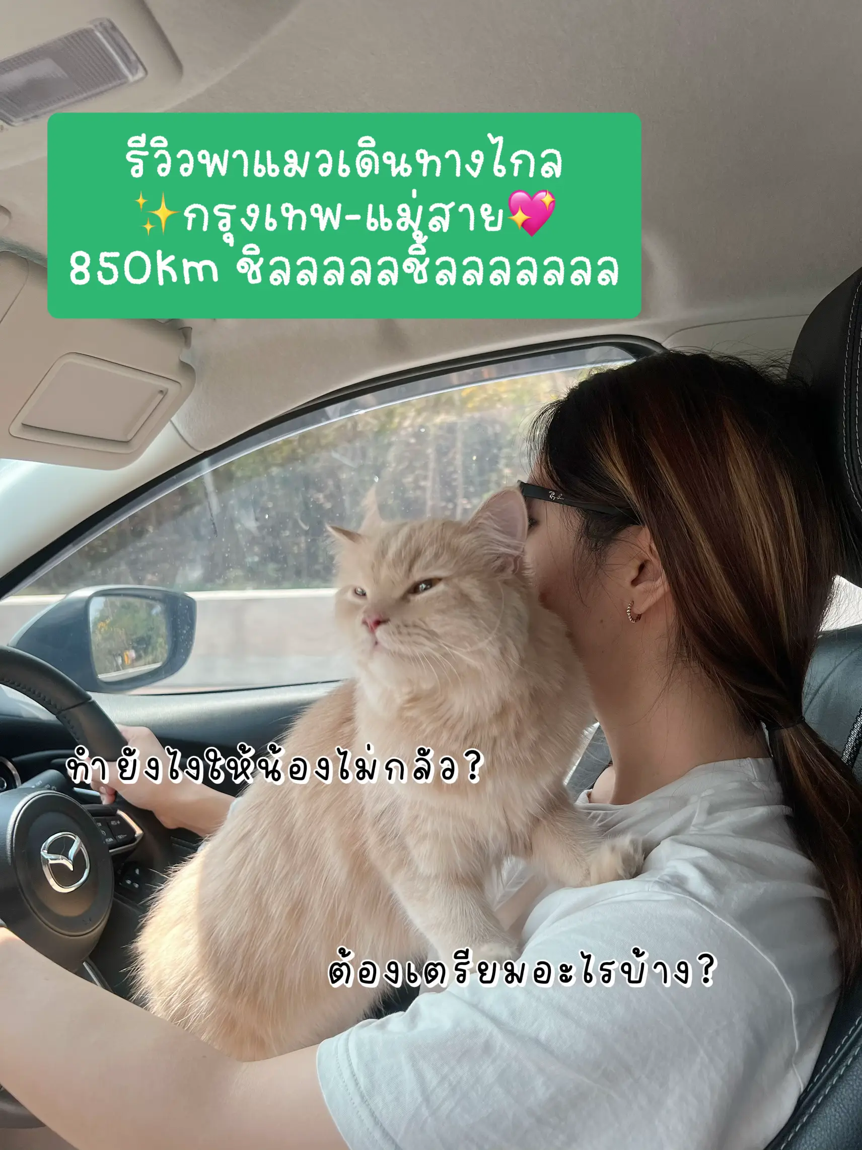 รีวิวทริปสู้ชีวิตทั้งคนและแมวว+แชร์ทริคพาแมวเดินทางไกลจ้า😍 | แกลเลอรีที่โพสต์โดย หมีมาแชร์ | Lemon8