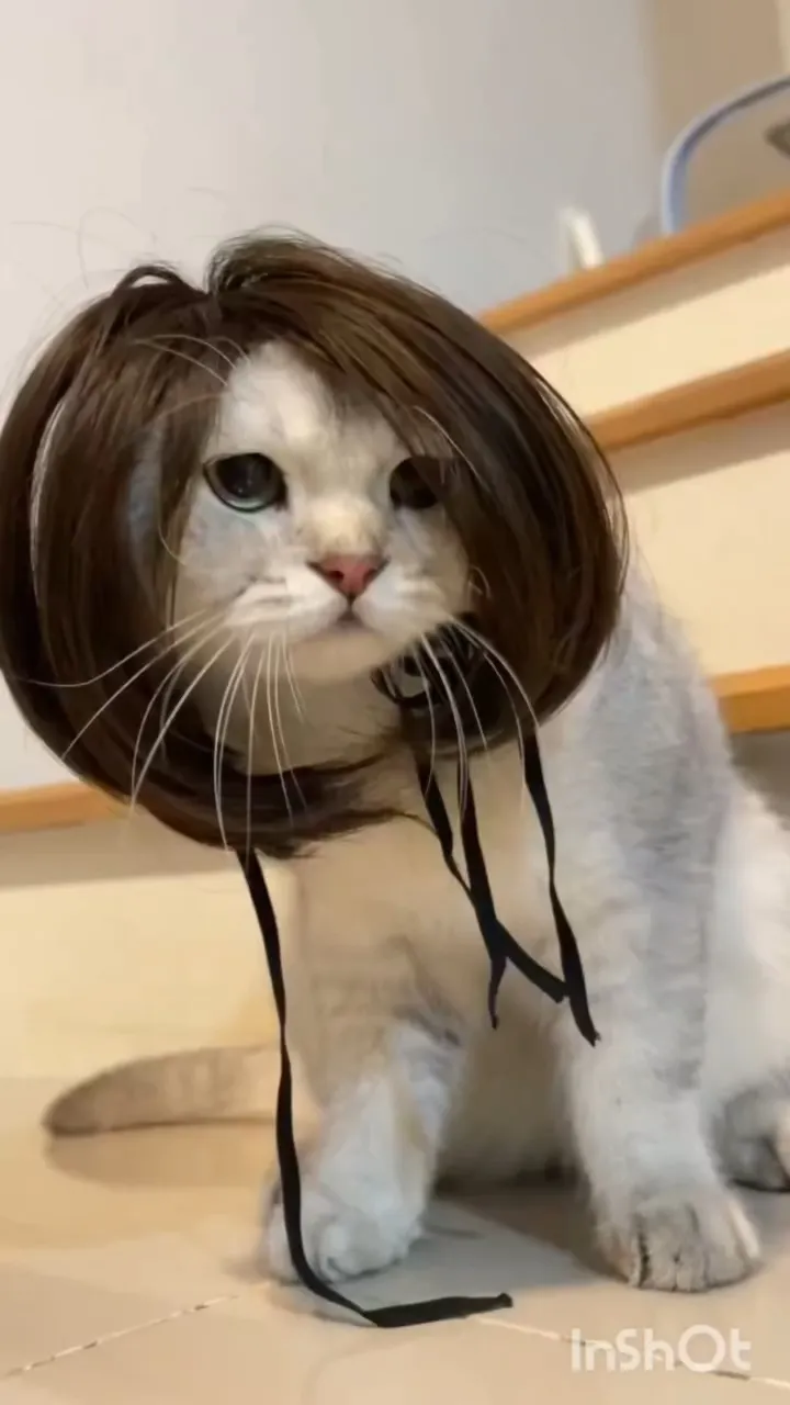 เฮ้ย.. ค_ย😅😅 | วิดีโอที่เผยแพร่โดย chat_x | Lemon8