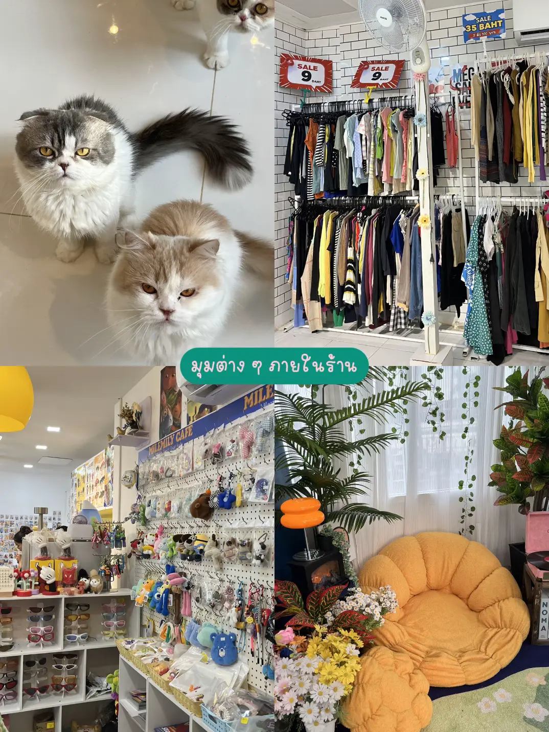 คาเฟ่คริสต์มาสย่านนนทุบรี •Milemily cafe 🎄🧸💝 | แกลเลอรีที่โพสต์โดย Merrypring🎄 | Lemon8