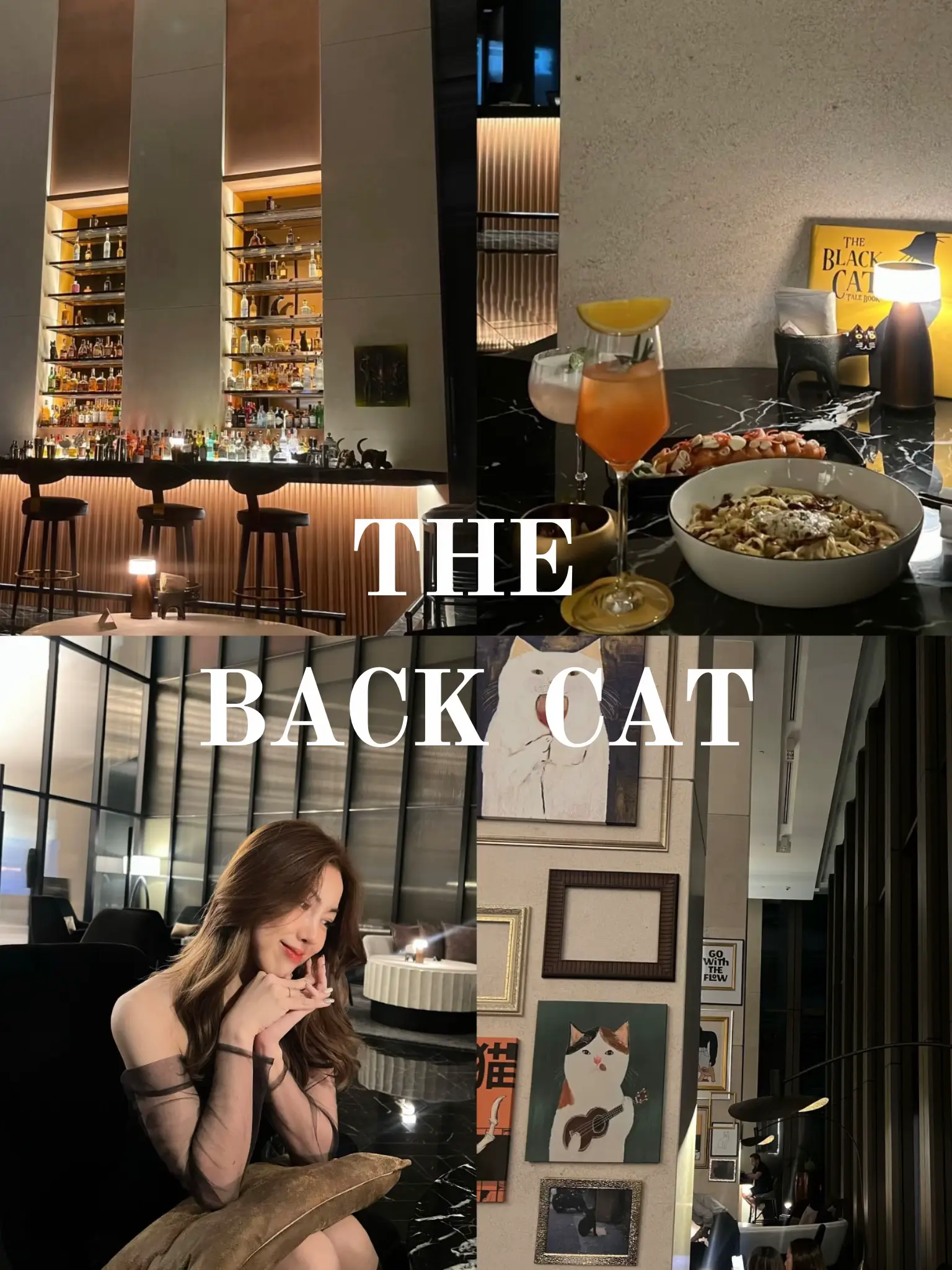 THE BACK CAT 🐈‍⬛ 🍷 | แกลเลอรีที่โพสต์โดย ณมน ꪔ̤̥ | Lemon8