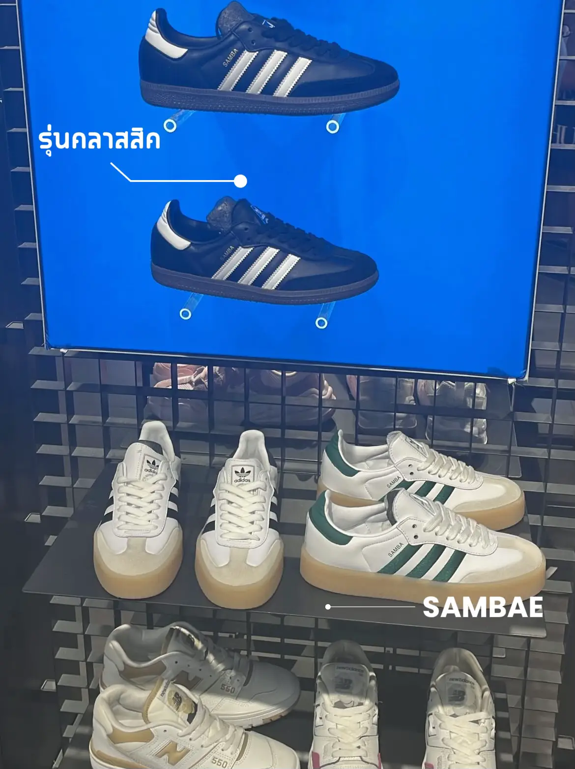 ADIDAS SAMBA | แกลเลอรีที่โพสต์โดย frxbb. | Lemon8