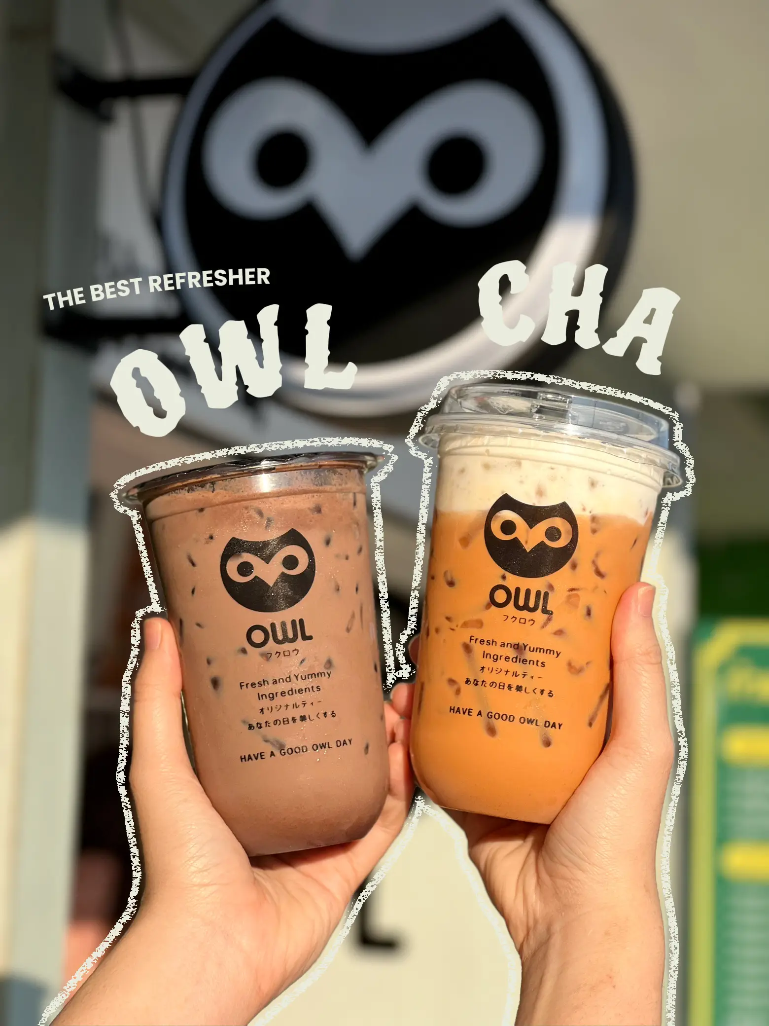 OWL CHA ชานมชีส ราคาสุดจึ้ง | แกลเลอรีที่โพสต์โดย pkukii🥯🌨 | Lemon8