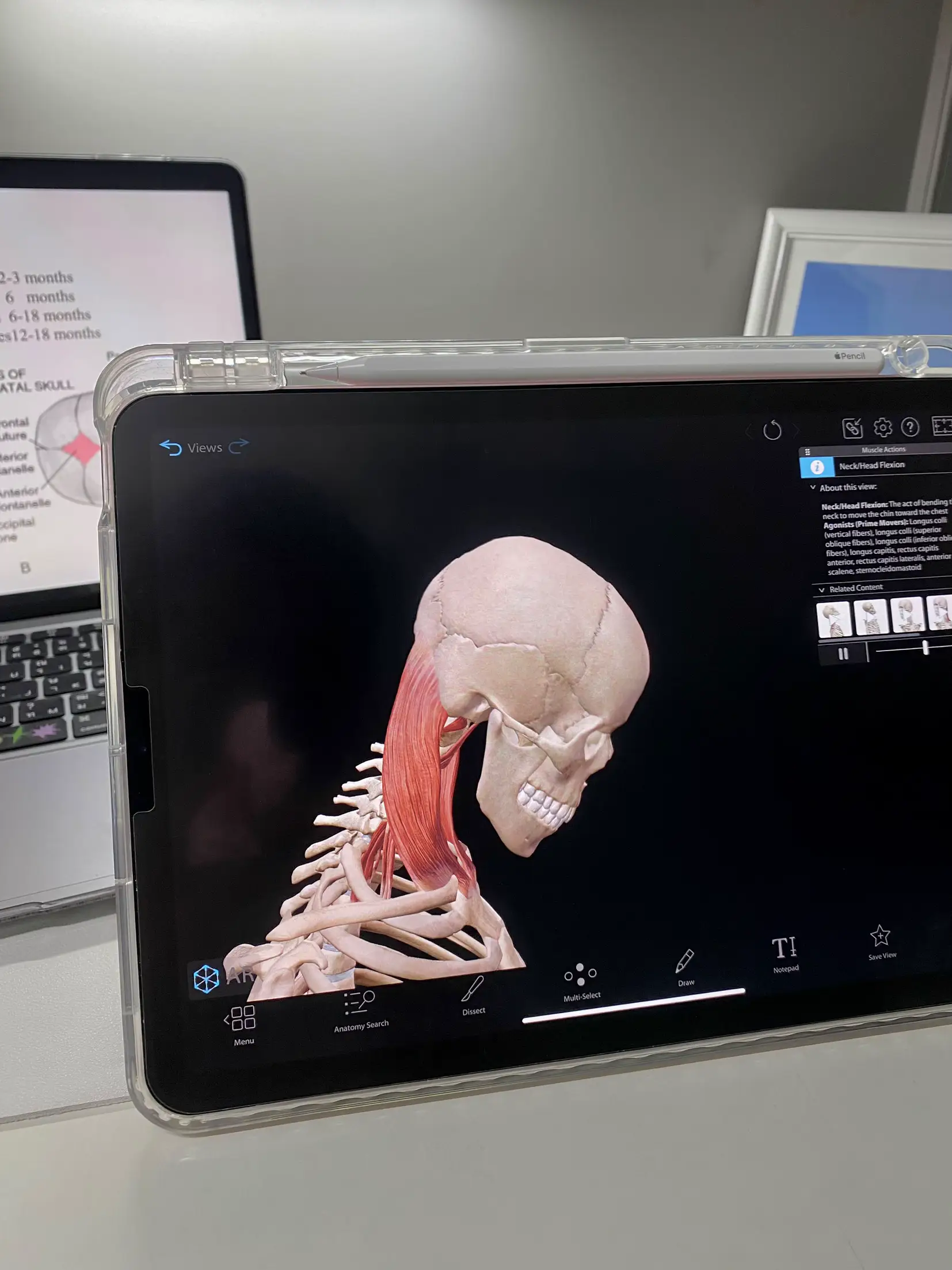 ซื้อ Anatomy App ดีมั้ย? คุ้มมั้ย? | แกลเลอรีที่โพสต์โดย Nutcha B | Lemon8