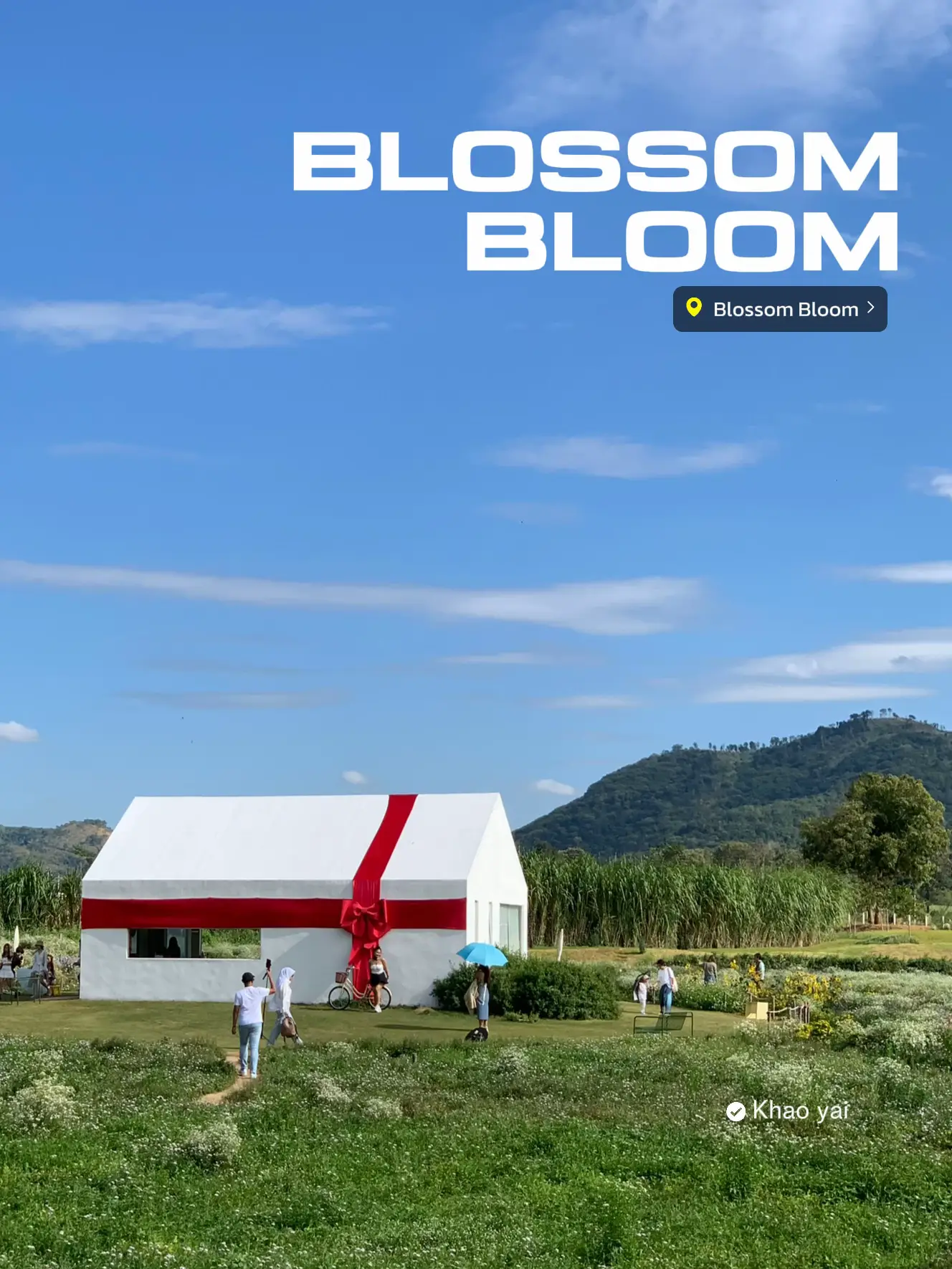 Blossom bloom | แกลเลอรีที่โพสต์โดย Sirimoko | Lemon8
