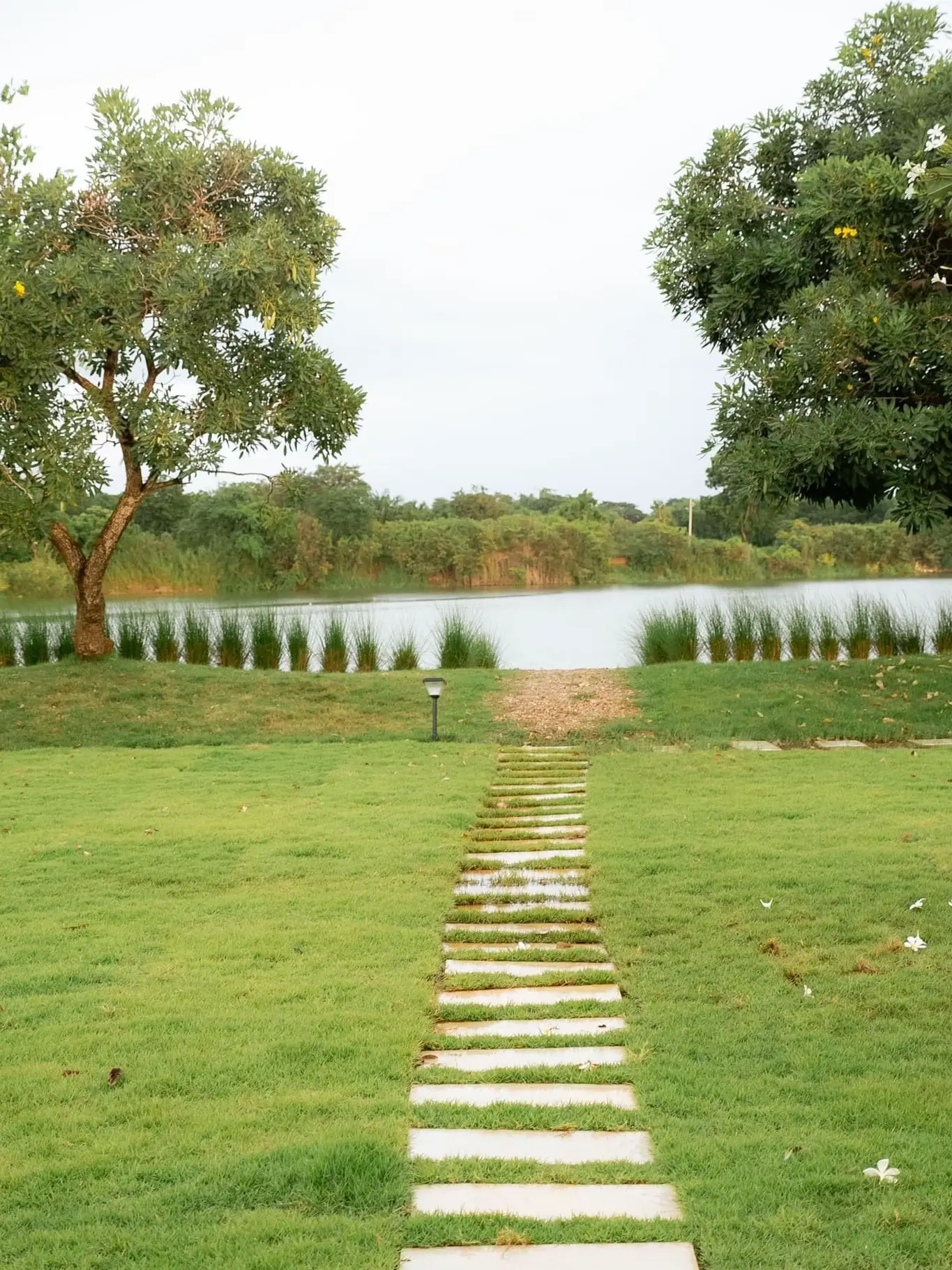 คาเฟ่ในลานกางเต็นท์ที่นครปฐม 🏕️ | แกลเลอรีที่โพสต์โดย lbzero | Lemon8