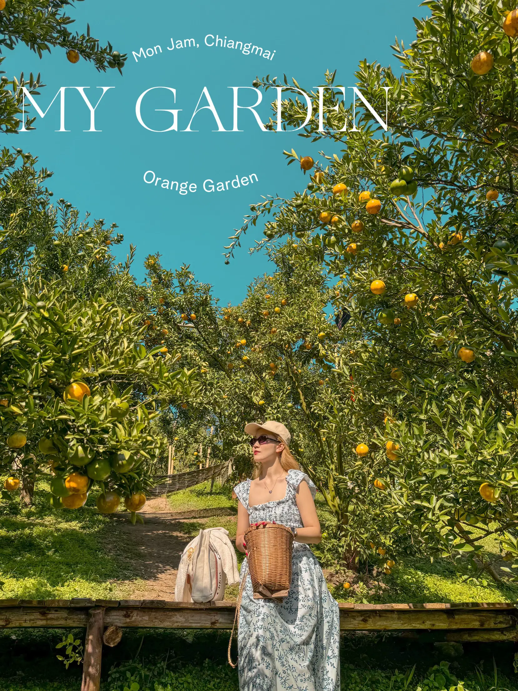 MY GARDEN (Mon Jam, Chiangmai) | แกลเลอรีที่โพสต์โดย Pangpond NTK | Lemon8