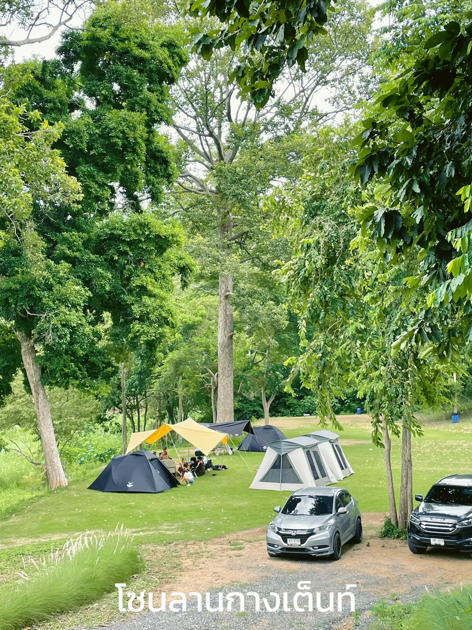 Wildwood Saraburi 🌲 | แกลเลอรีที่โพสต์โดย mxnatnich | Lemon8