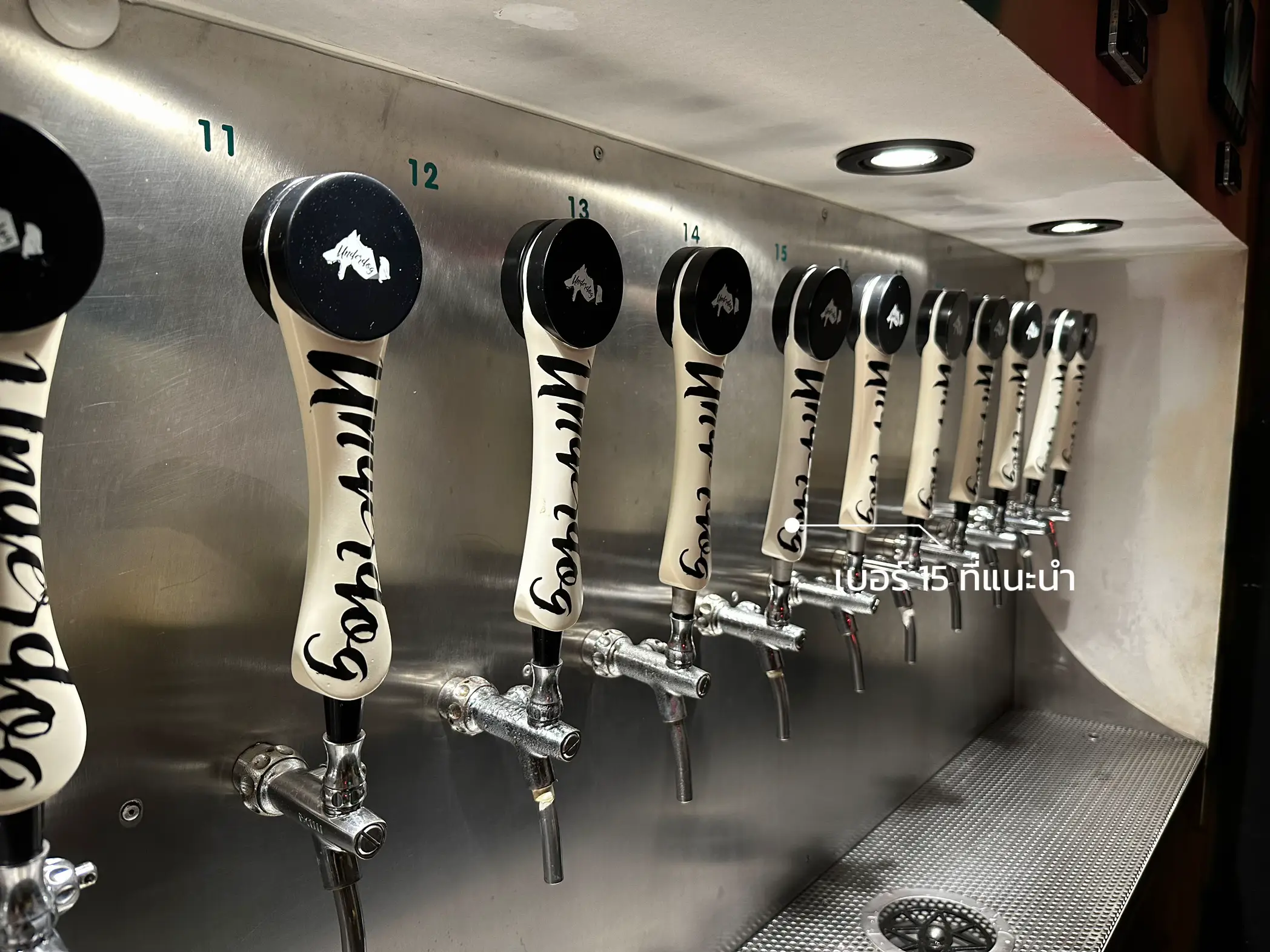 คราฟท์เบียร์ 20 รสชาติเอาใจนักดื่มที่ Underdog Microbrewery | แกลเลอรี ...