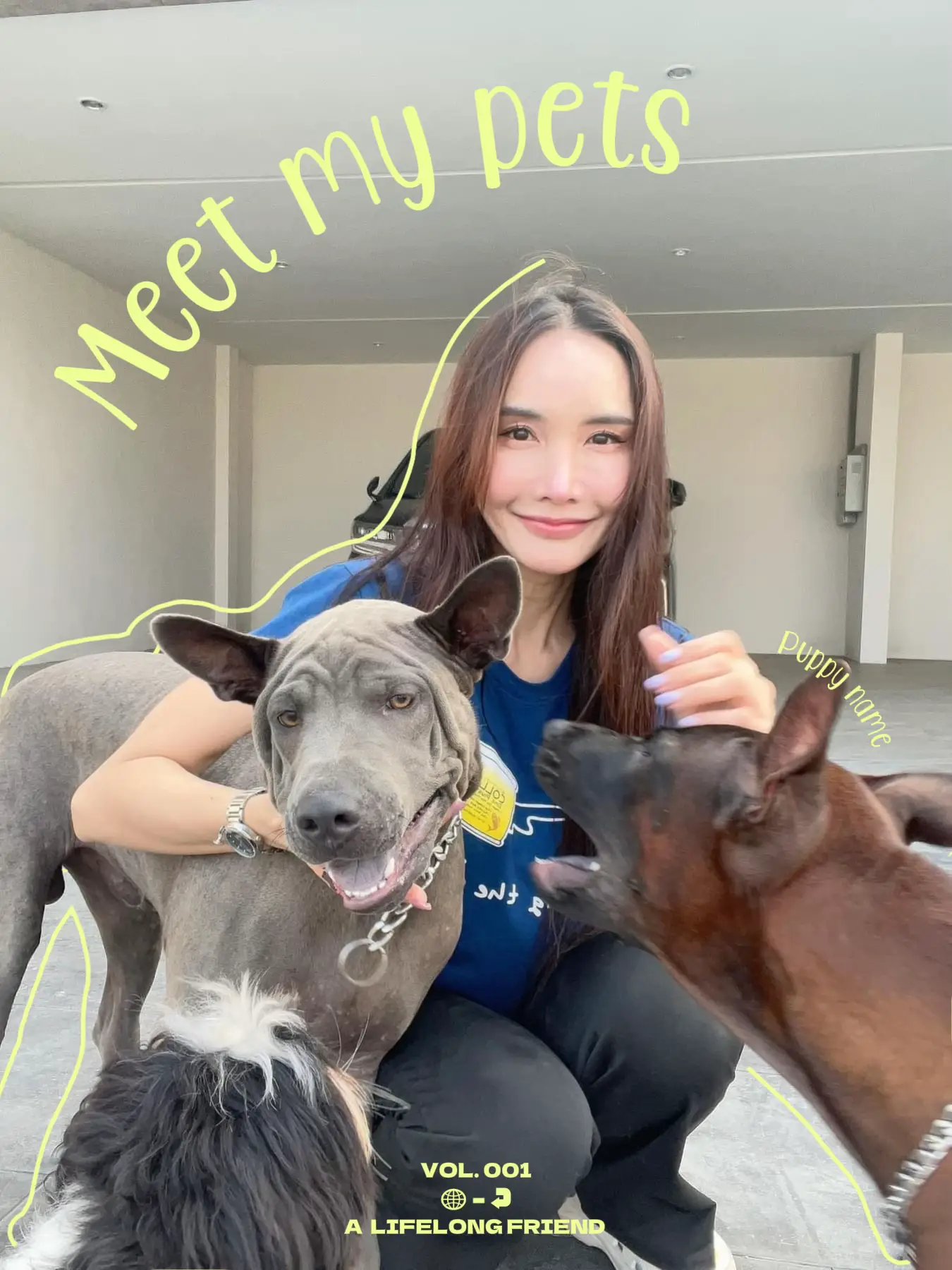 Meet my pets หมาไทยหลังอาน ไทยแท้ | แกลเลอรีที่โพสต์โดย แม่ก๊อตจิ | Lemon8