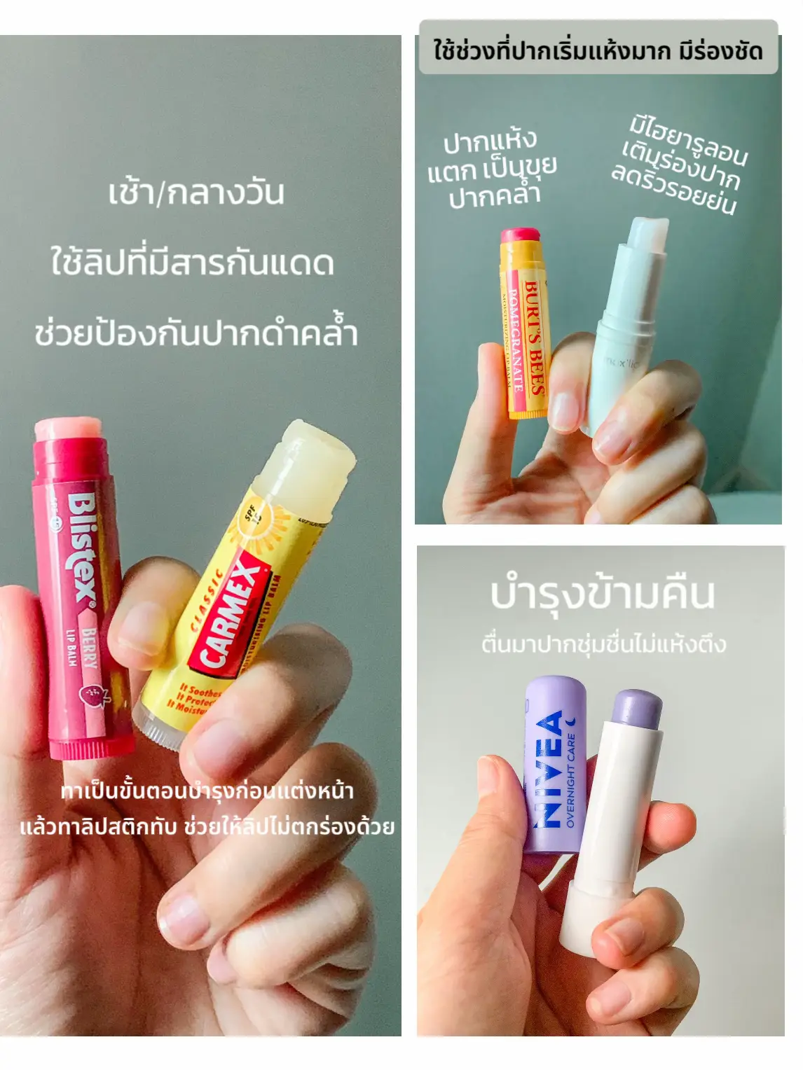 รีวิวรวบตึงลิปบำรุงปาก จากใจสาวปากแห้ง🫦 มีตัวไหนเข้าวินบ้าง? | แกลเลอรี ...