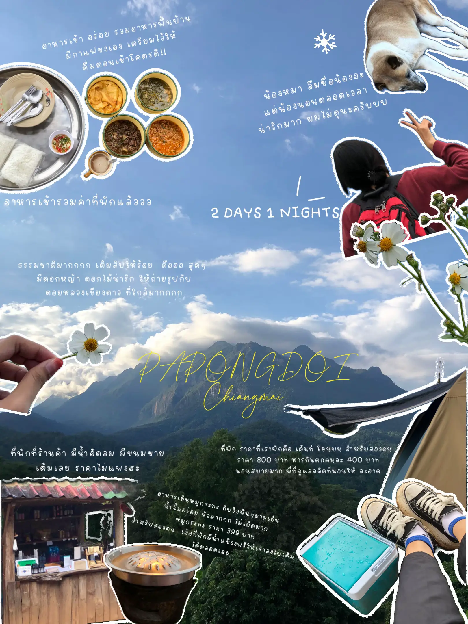 2 DAYS 1 NIGHTS | แกลเลอรีที่โพสต์โดย Earn | Lemon8