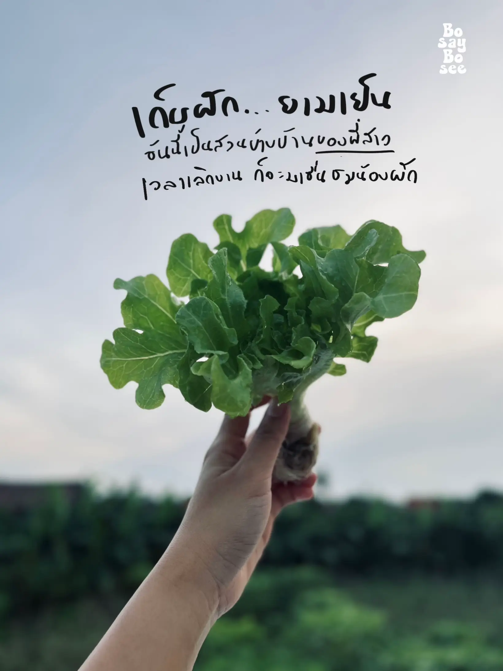 ฉันมีบ้านนอกเป็นของตัวเอง ” และชีวิตอันแสน Slow Life | แกลเลอรีที่โพสต์ ...