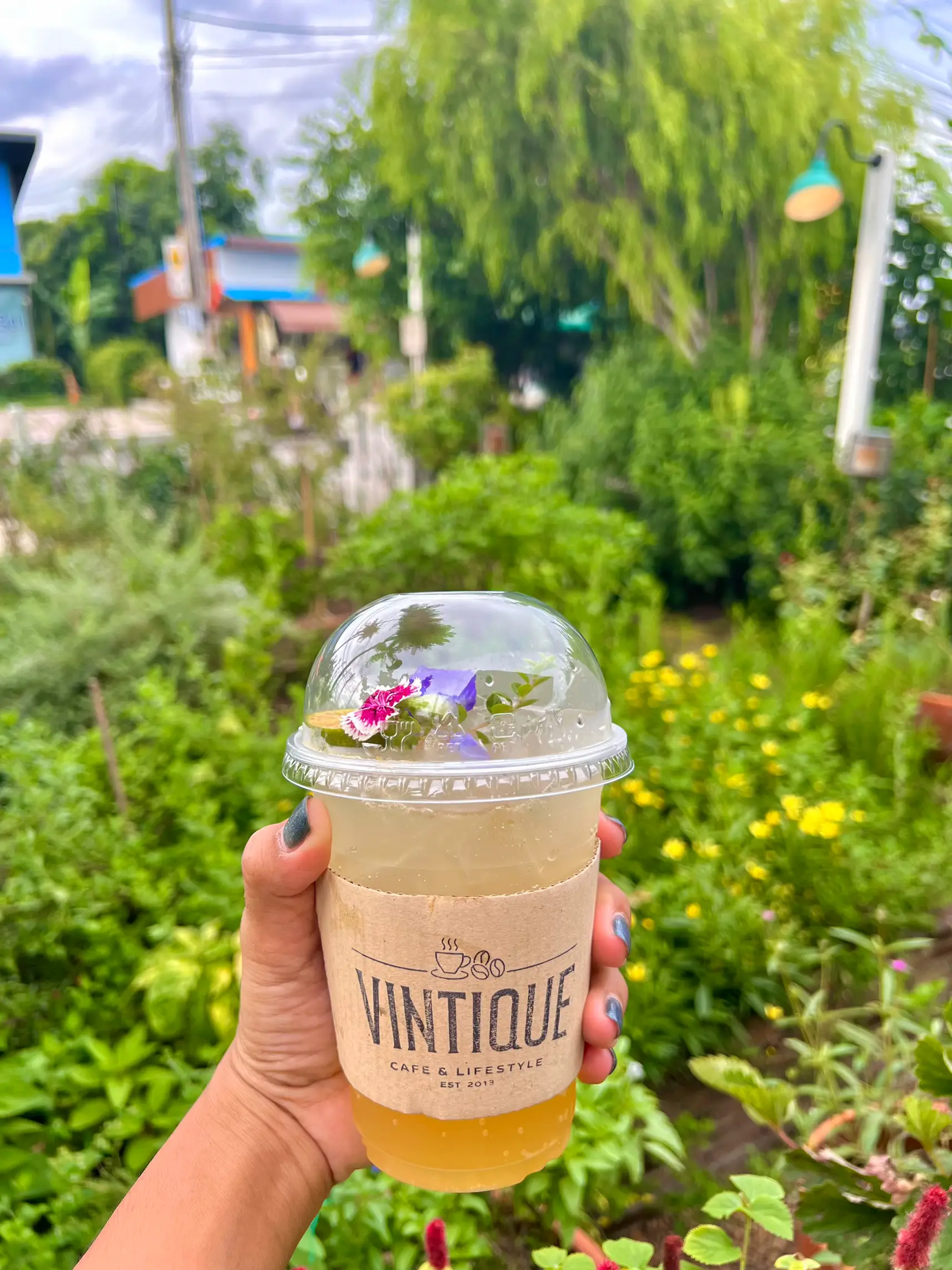 vintique cafe and lifestyle คาเฟ่ย่านคลองสามวา | แกลเลอรีที่โพสต์โดย ...