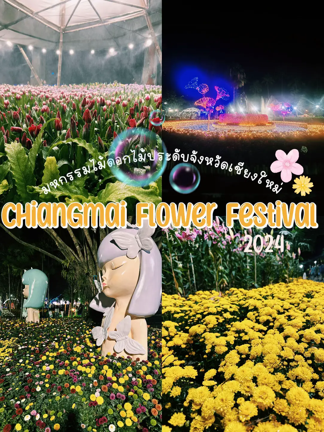 Chiangmai Flower Festival 2024 | แกลเลอรีที่โพสต์โดย Pinky_KTD | Lemon8