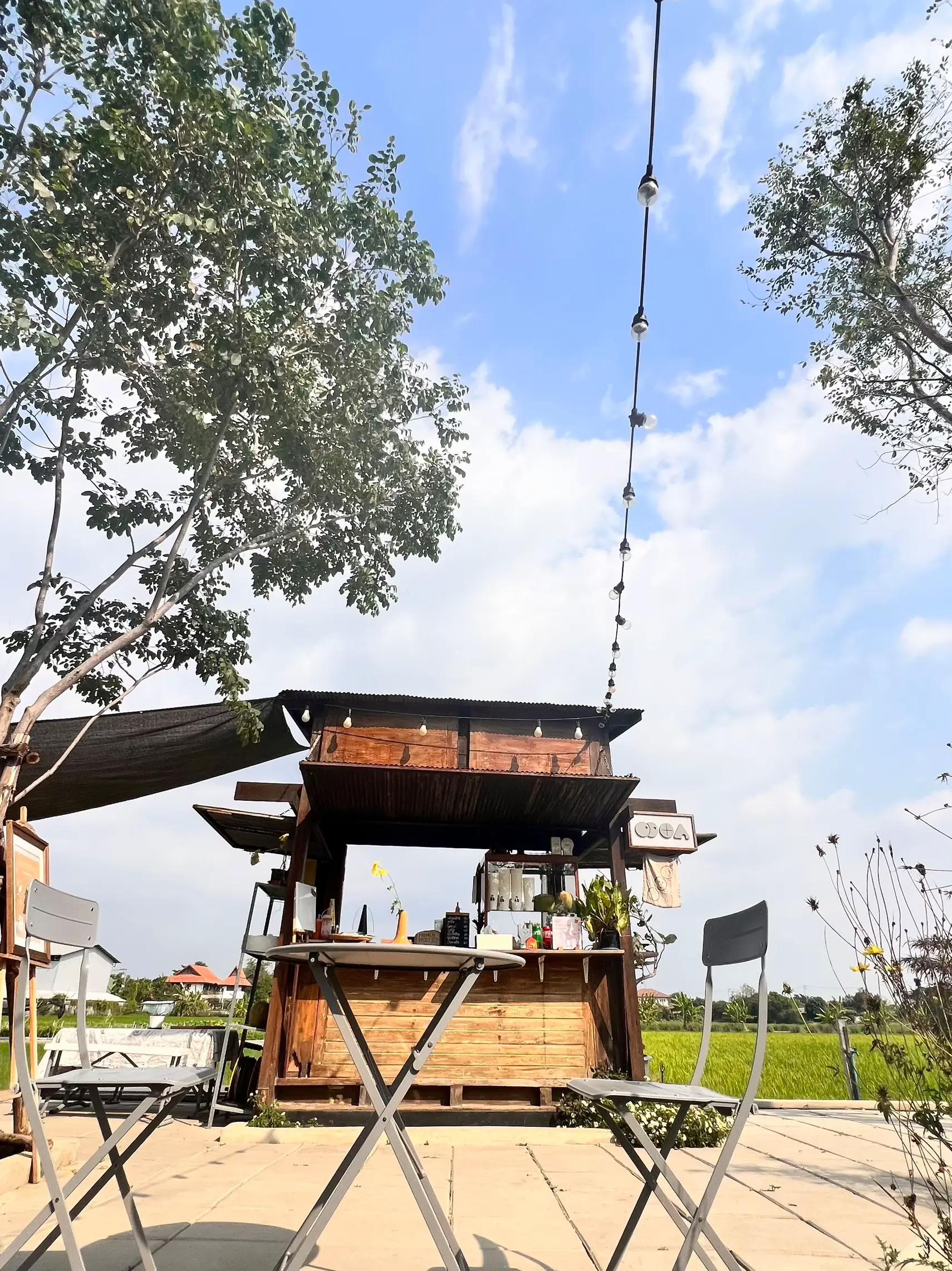 คาเฟ่ Dokmai Pratoo Jaekan 🌼🚪🍶 | แกลเลอรีที่โพสต์โดย myploy mareview | Lemon8