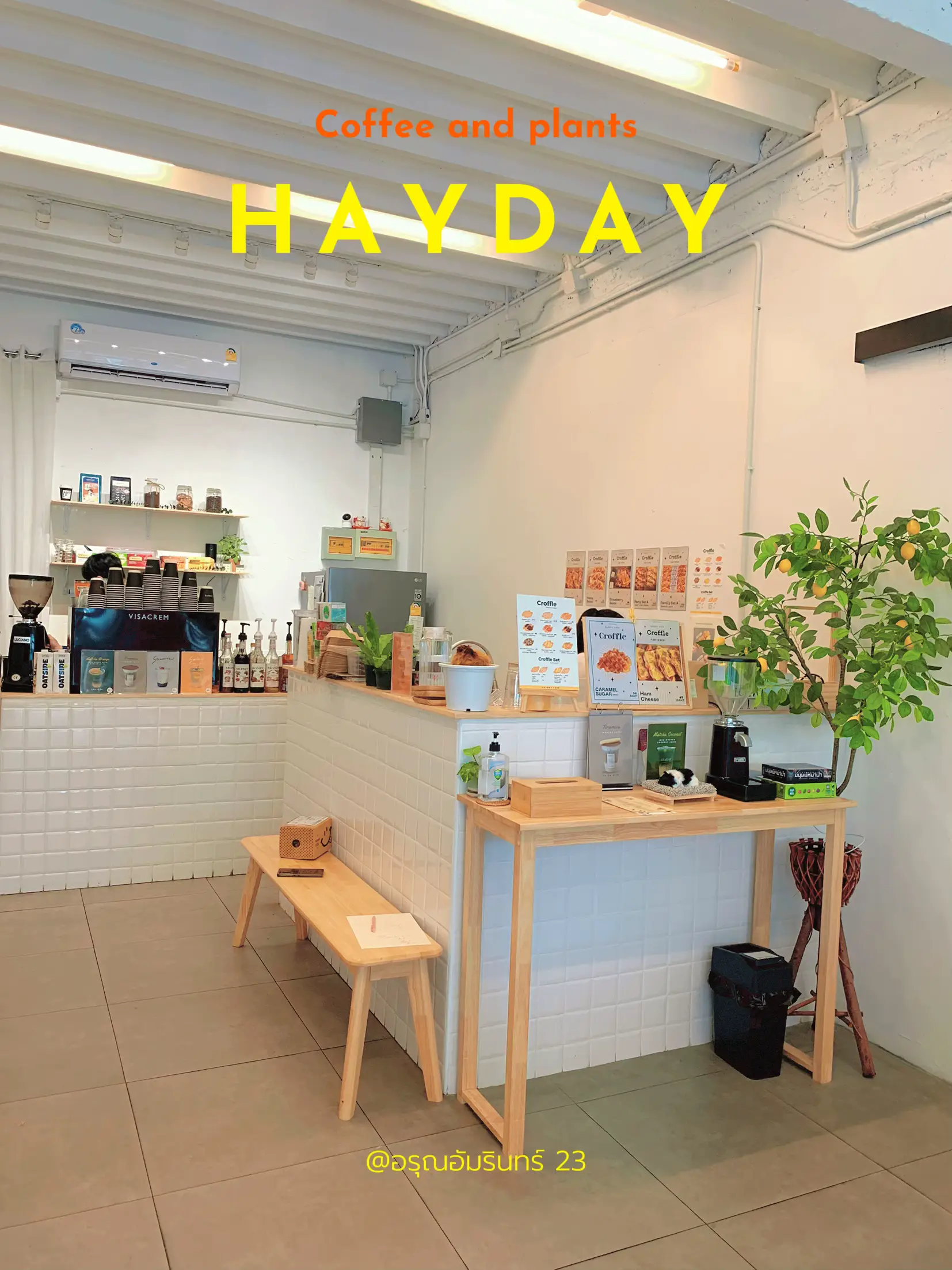 คาเฟ่สไตล์เกาหลี🍋ร้านอยู่ในซอ | แกลเลอรีที่โพสต์โดย Supat_pare🤩🍐🎀 | Lemon8