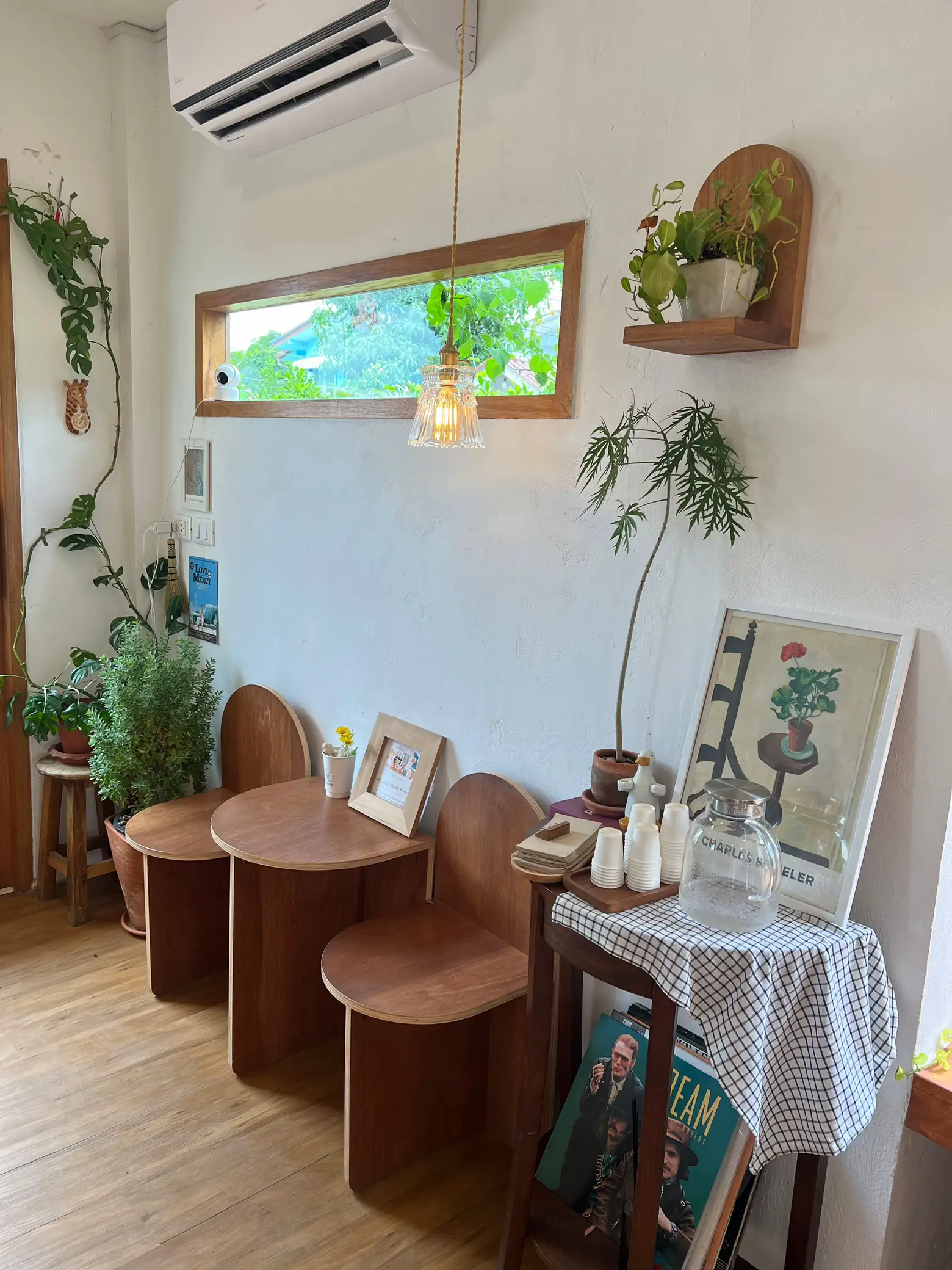 യ Molley Coffee Stand คาเฟ่ลับในหัวหิน คิ้วท์มาก 🌼 | แกลเลอรีที่โพสต์ ...