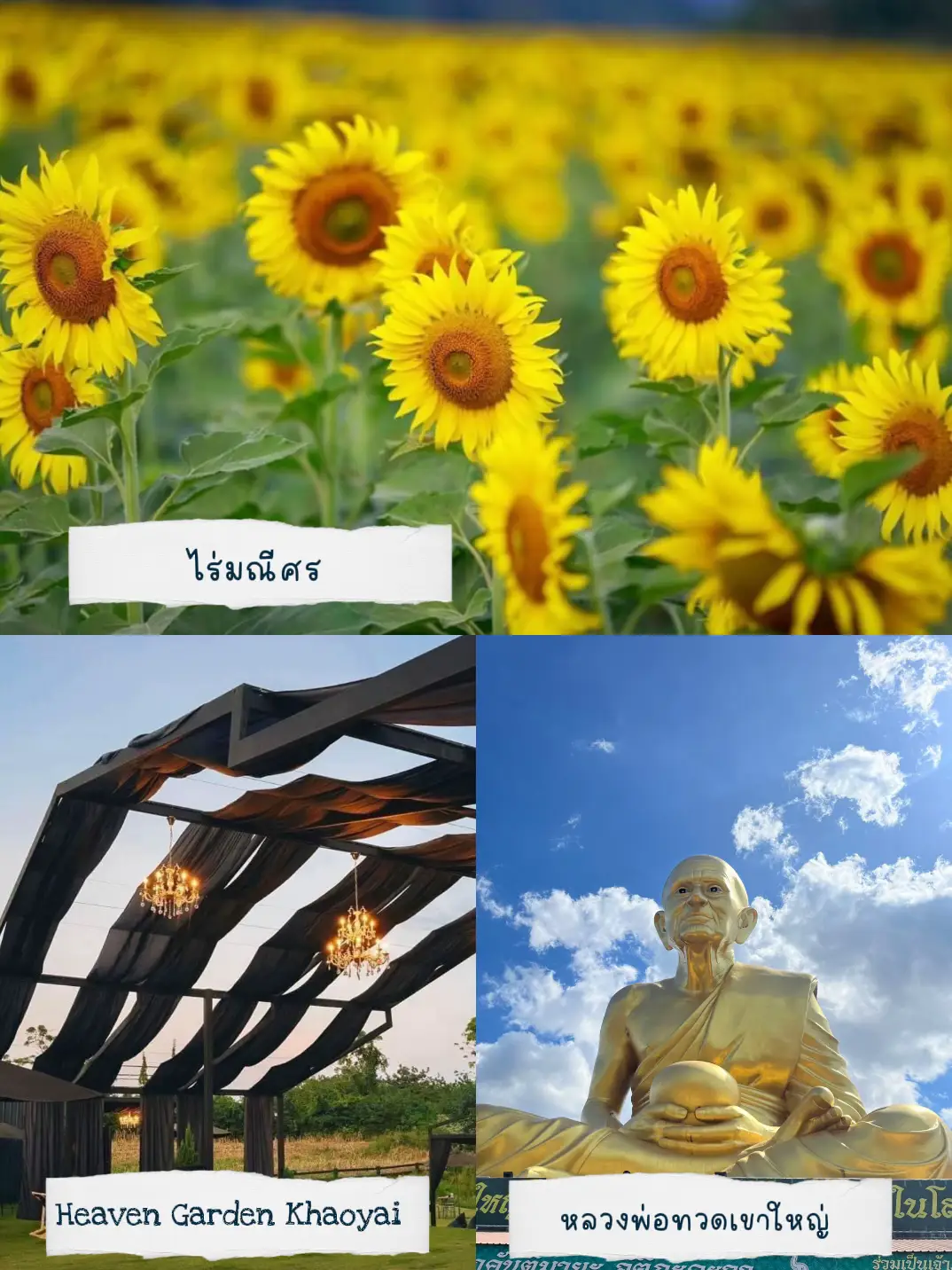 ทริปเขาใหญ่ ep.2 ไปตามรอยคัลแลน พี่จองกัน ใจฟูๆ 🥰 | แกลเลอรีที่โพสต์โดย ...