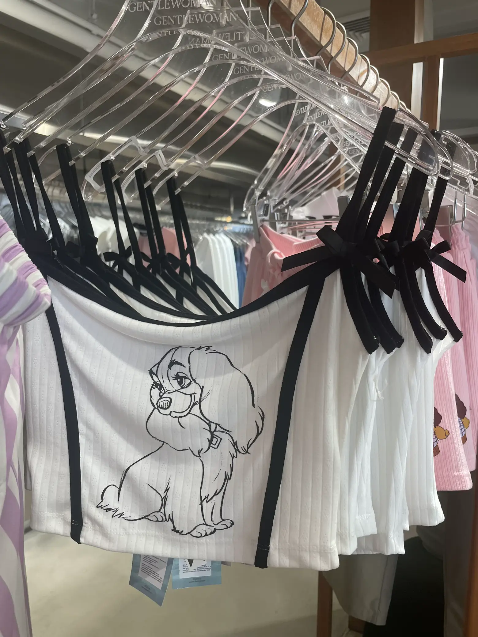 Gentlewoman lady & the tramp🐶🎀🫠 | แกลเลอรีที่โพสต์โดย Forthsarin | Lemon8