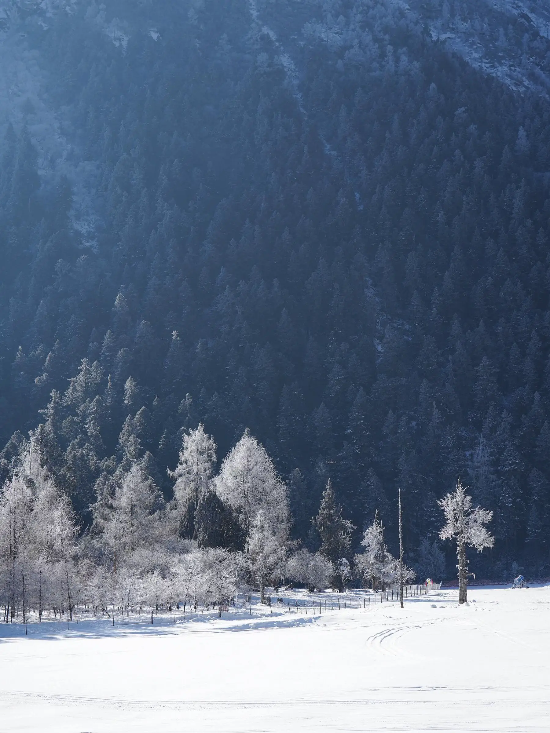 หน้าหนาวที่จะถึงนี้ ฉันมีสถาน | แกลเลอรีที่โพสต์โดย Panda Trip | Lemon8