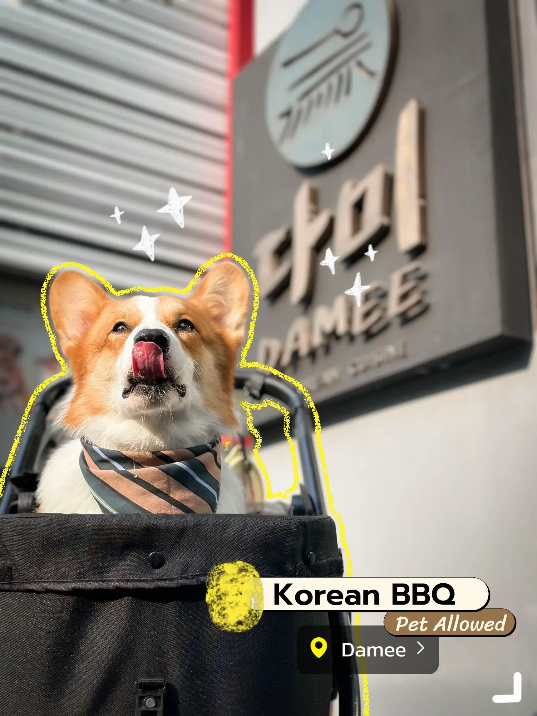 Korean BBQ | แกลเลอรีที่โพสต์โดย Bruzo The Corgi | Lemon8