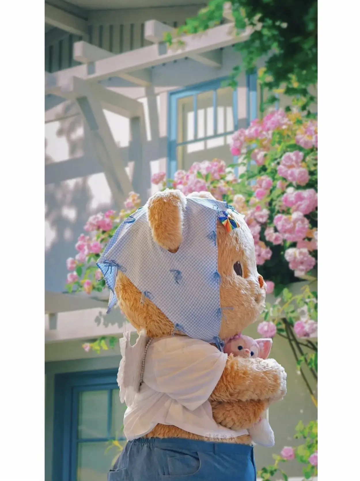 Butterbear Wallpaper - การค้นหาใน Lemon8