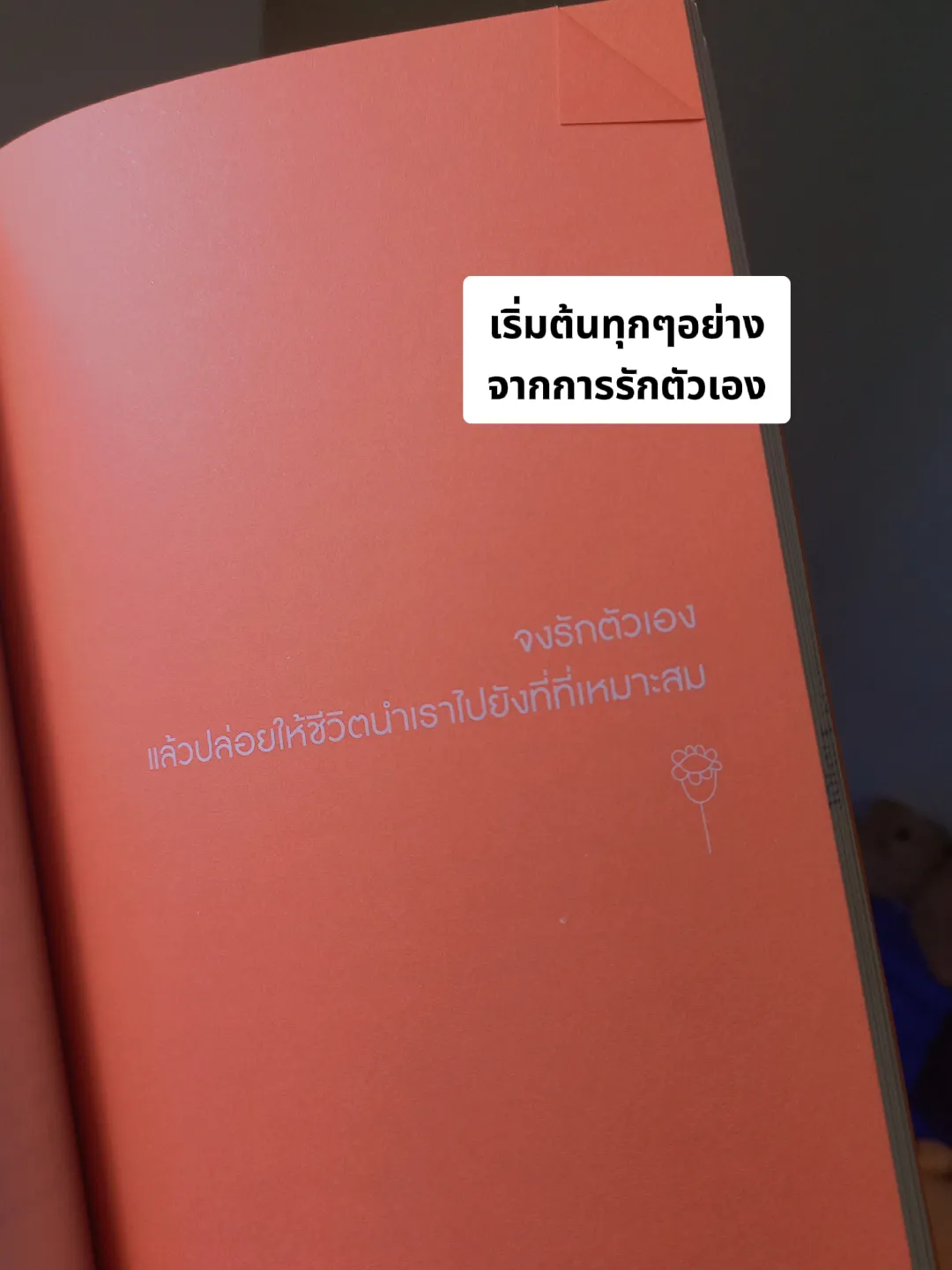 จงเป็นเธอในเวอร์ชันที่ดีที่สุด รีวิวหนังสือ | แกลเลอรีที่โพสต์โดย ฮัลโหลพิม 2456 | Lemon8