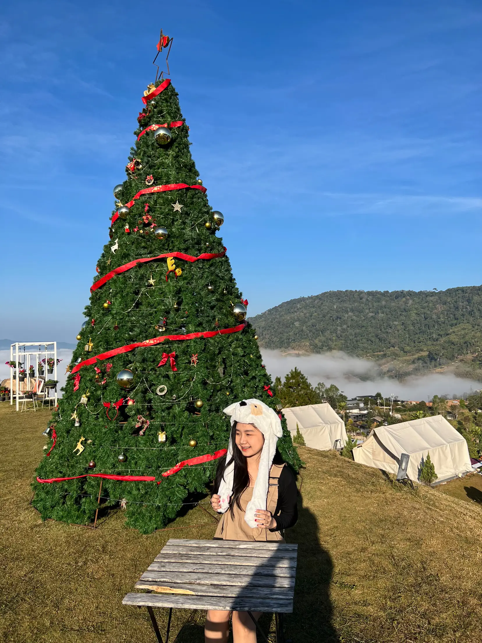 The gravity khao kho | แกลเลอรีที่โพสต์โดย Mo-ah | Lemon8