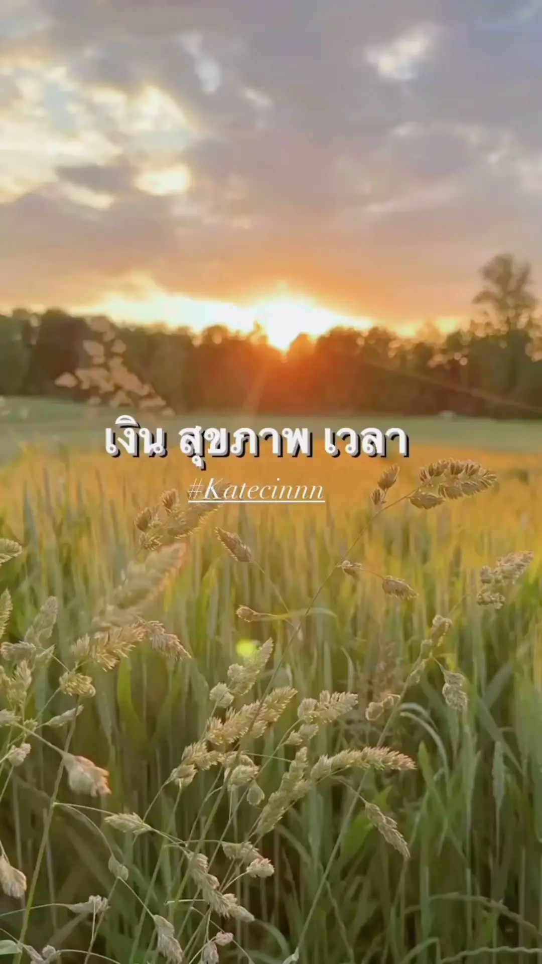 𖧷 เงิน สุขภาพ เวลา . . . . . | วิดีโอที่เผยแพร่โดย Kedsuda Meejit | Lemon8