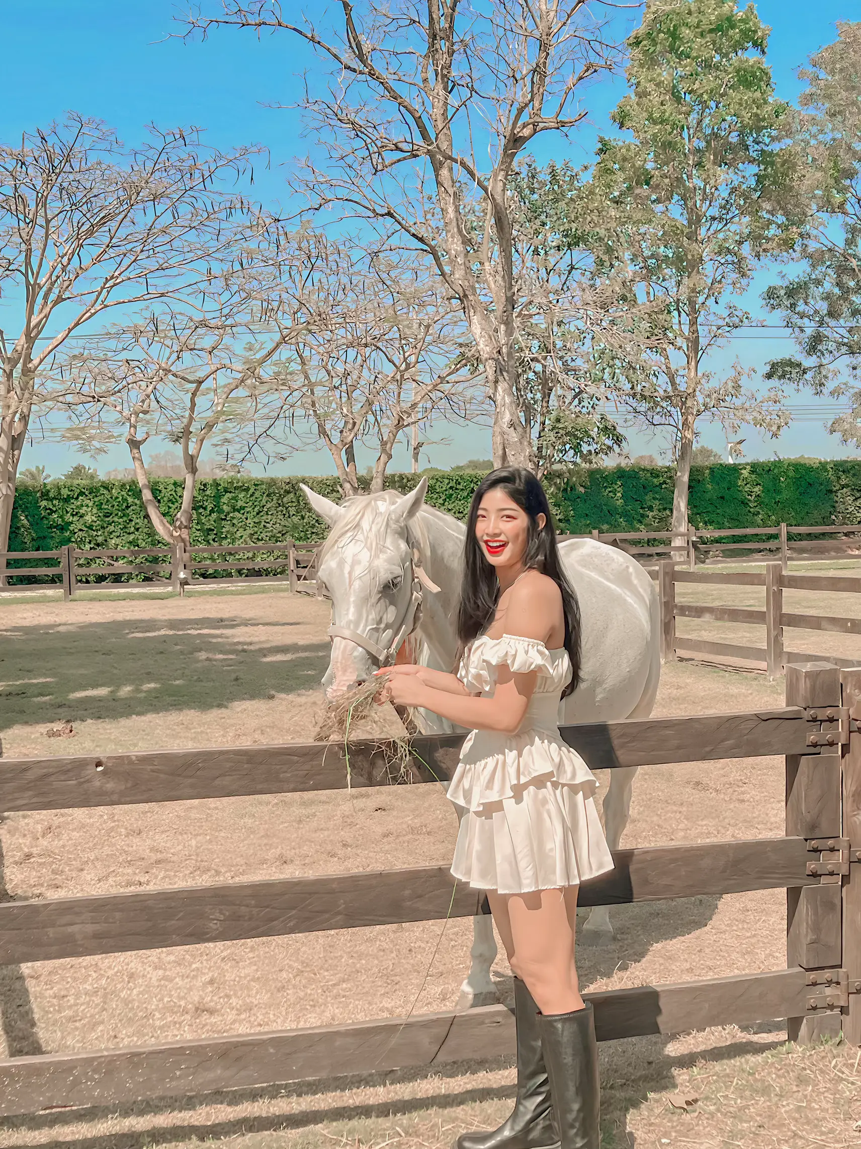 トロットカフェ 🐴 | Pimsane 🪻💜が投稿したフォトブック | Lemon8